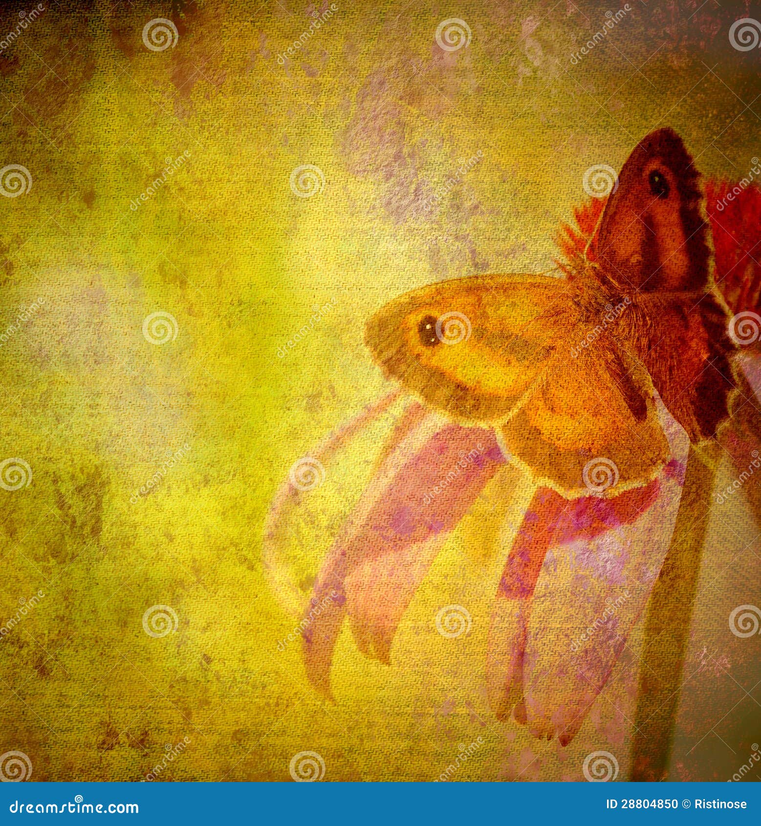 1,356 Vintage Paper Butterfly Texture Stock Photos - Free & Royalty ...