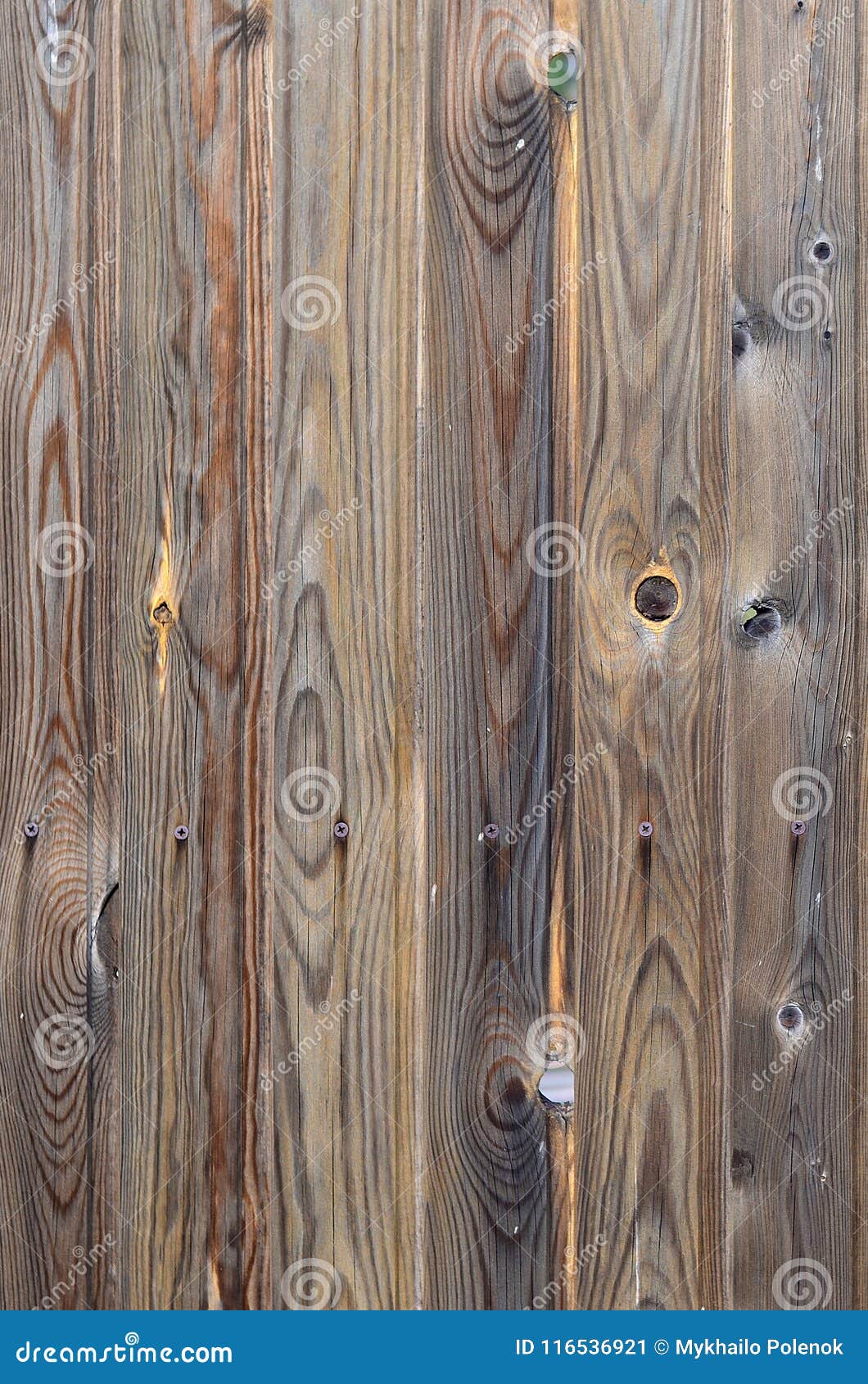 Vertical Striped Wood Texture. Stock Photography | CartoonDealer.com ...