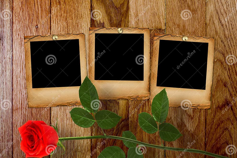 Old grunge paper slide stock image. Image of foliage - 38448847