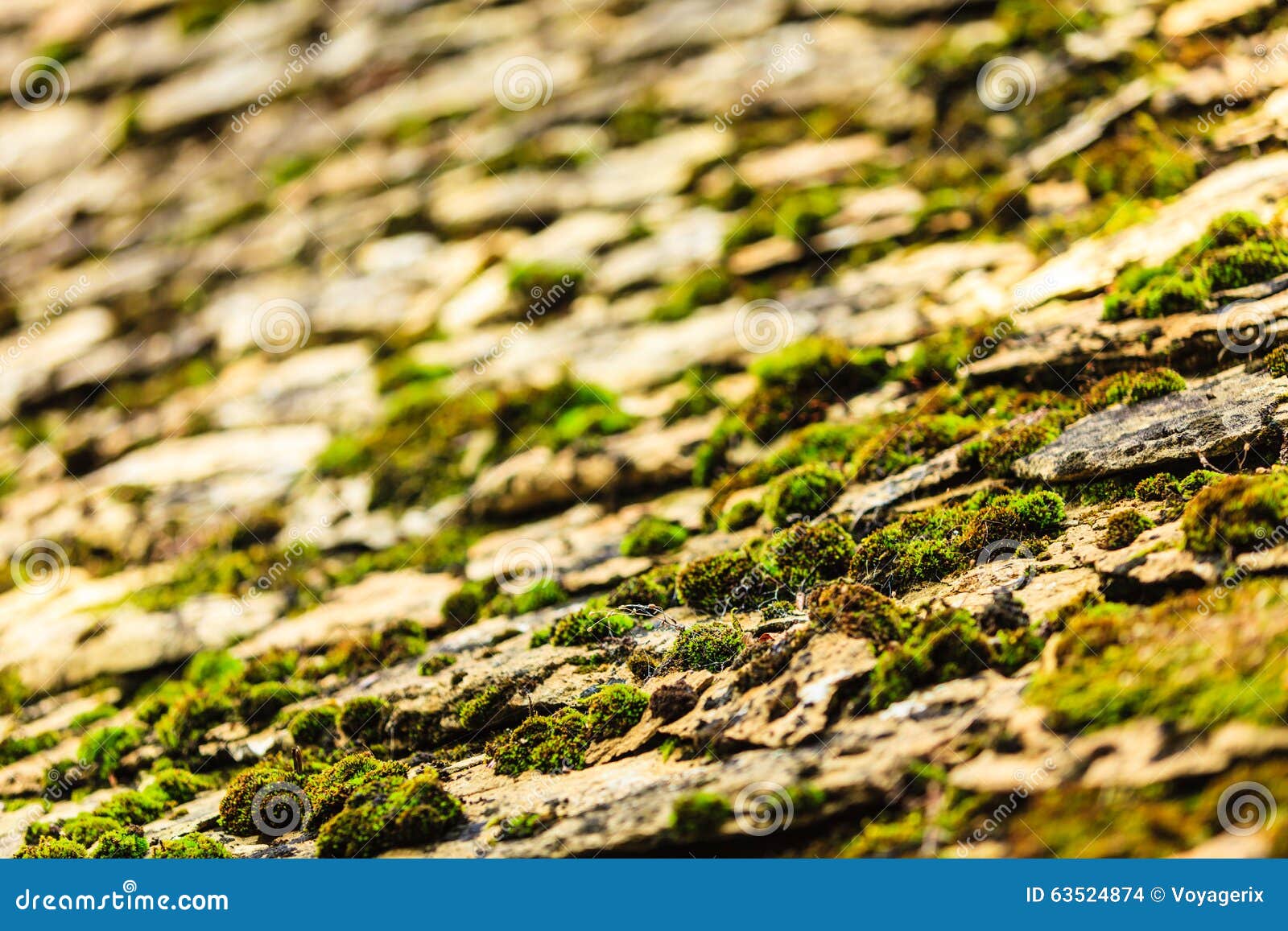 Old Grunge Stone Floor with Moss Pattern Background Stock Photo - Image ...