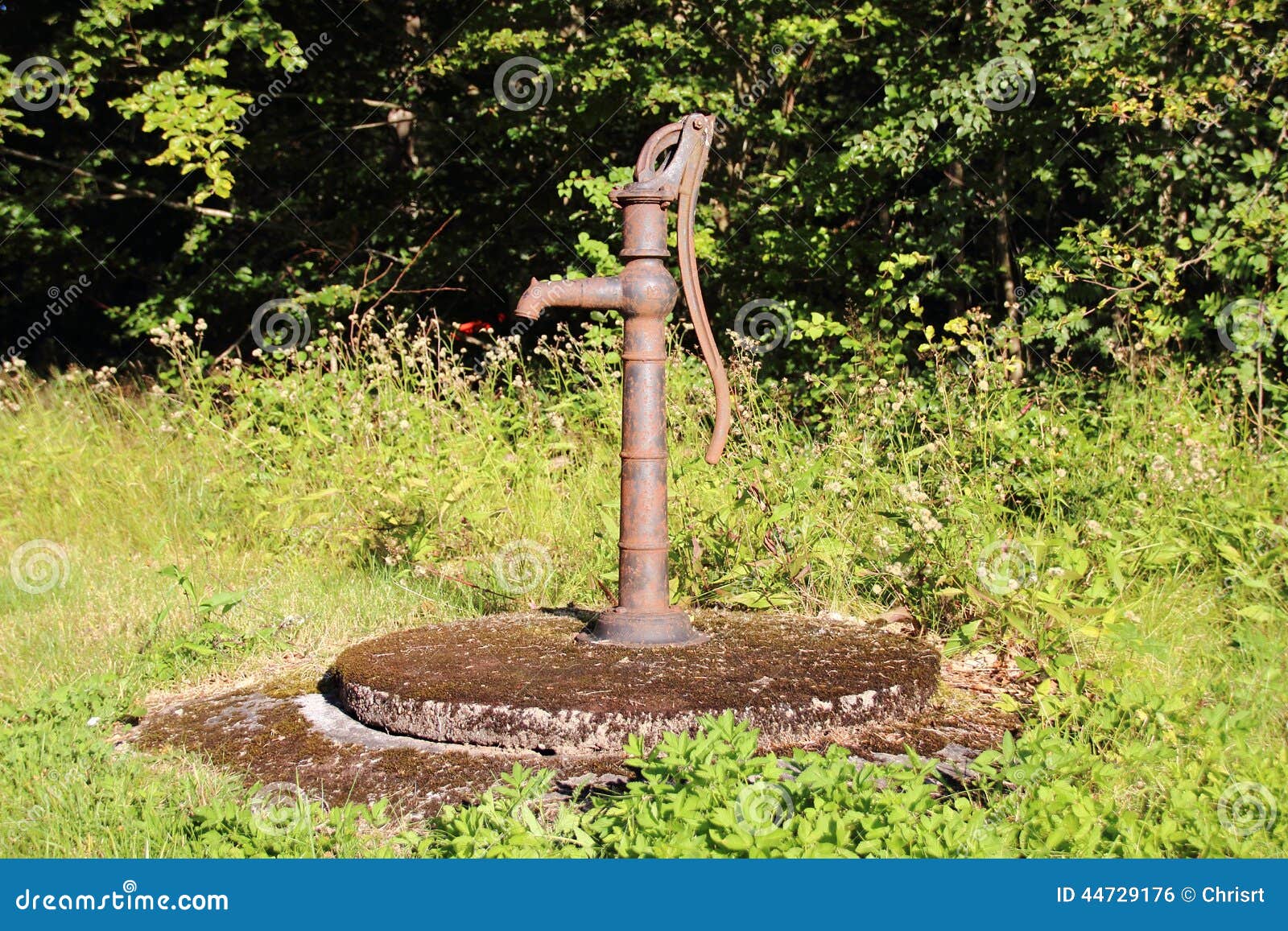 Old Grunge Water Pump in Forest Garden Stock Photo - Image of vintage ...