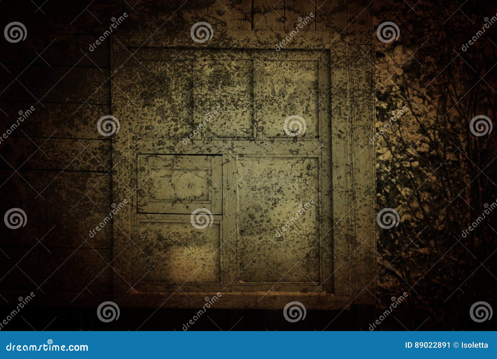 Old grunge window stock illustration. Illustration of plants - 89022891