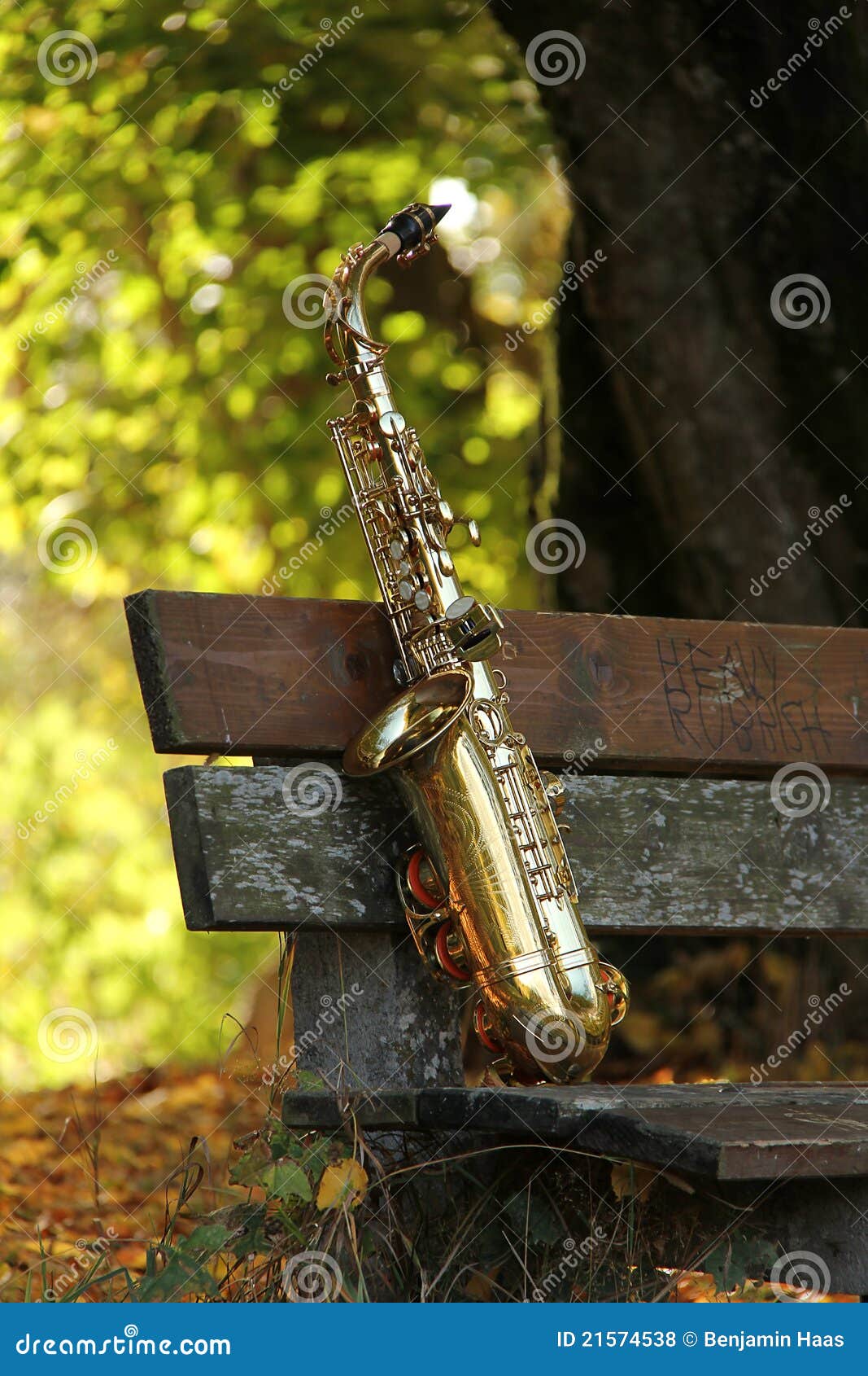 Old grungy saxophone stock photo. Image of forest, alto - 21574538