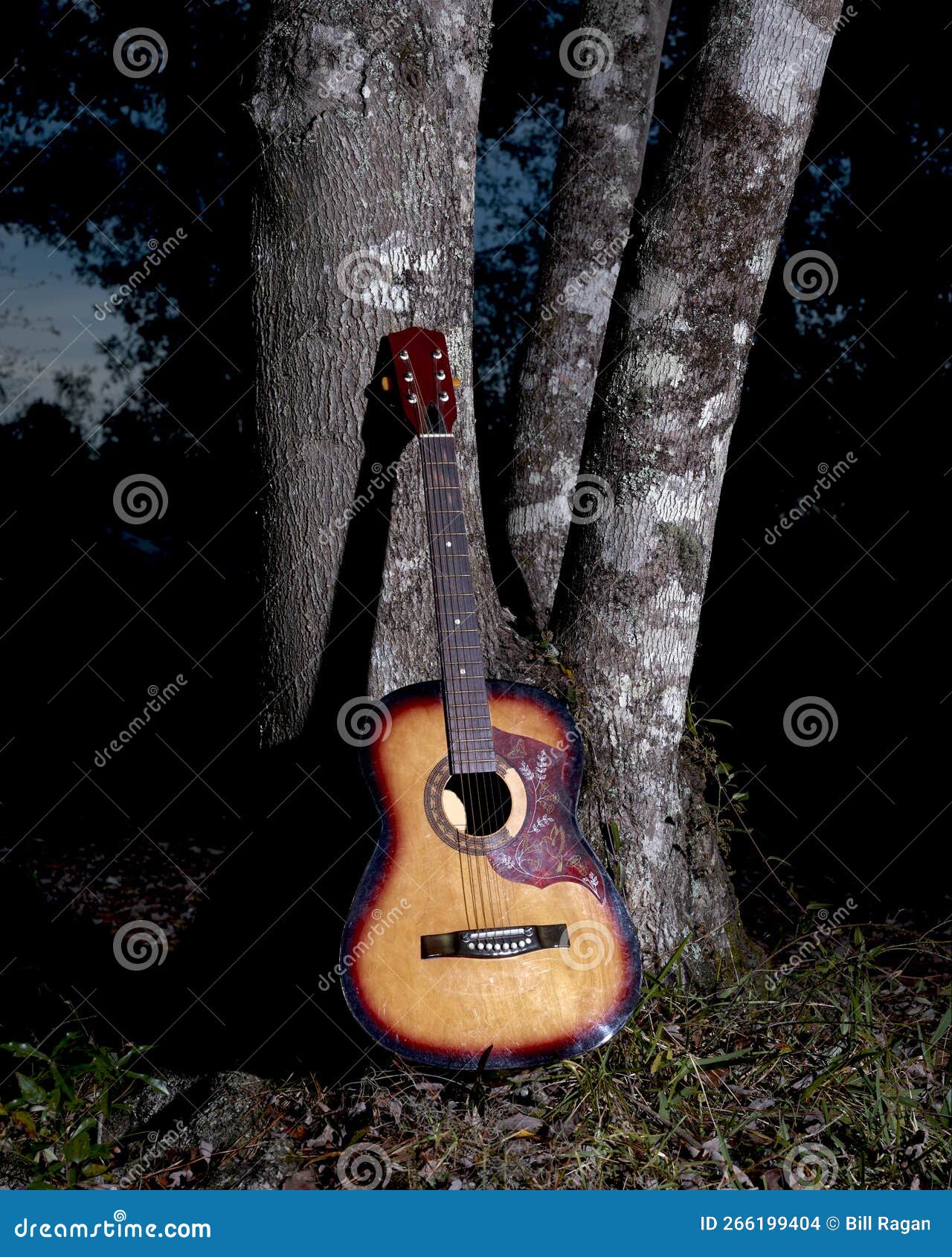 Old Guitar Against a Tree at Sunset Stock Photo - Image of poster, tree ...