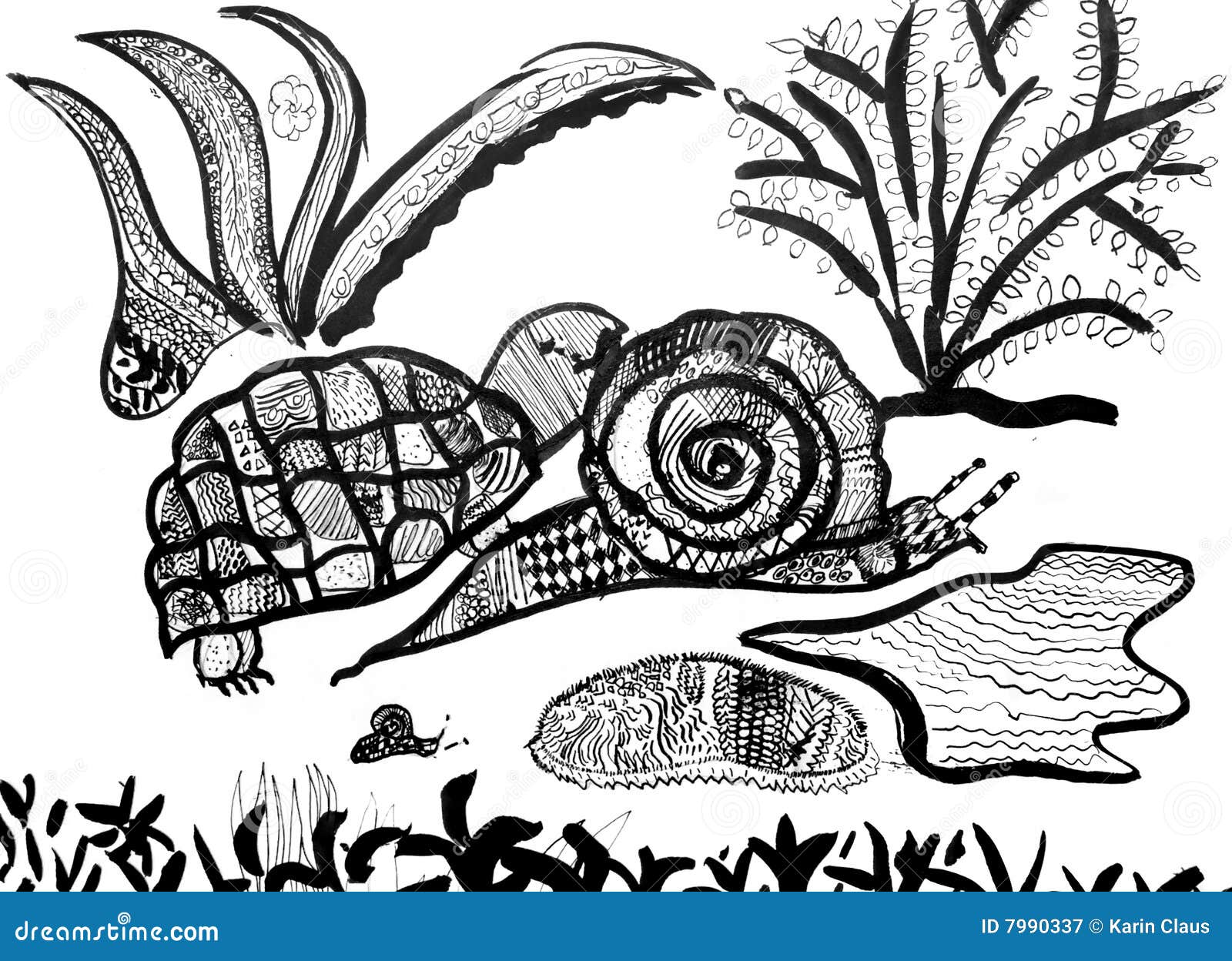 Old Hand Drawing Made in Ink Stock Illustration - Illustration of snail ...