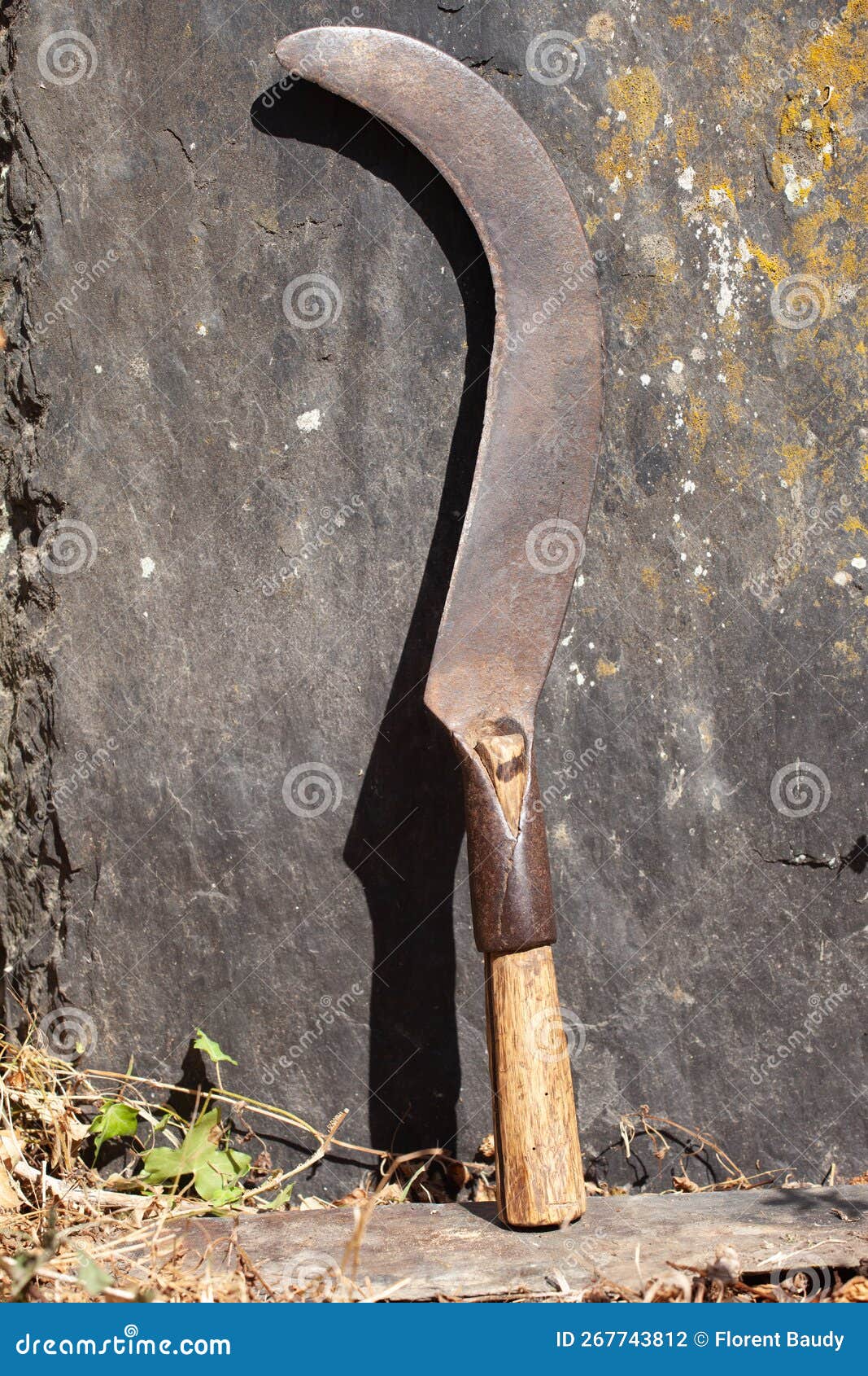 An old sickle stock photo. Image of soil, flooring, footwear - 267743812