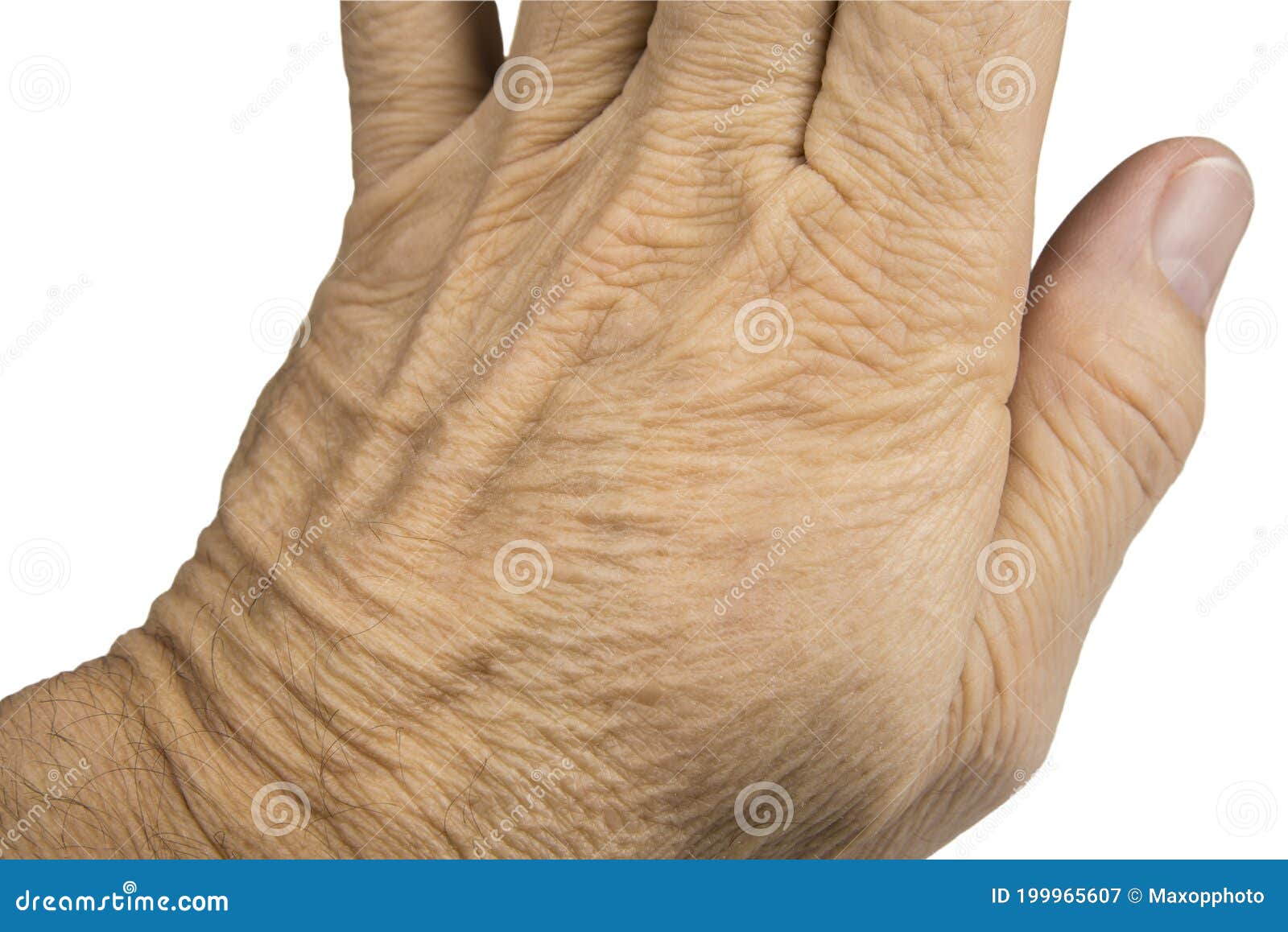 Old Hand Skin of Retired Man on White Stock Image - Image of skin ...