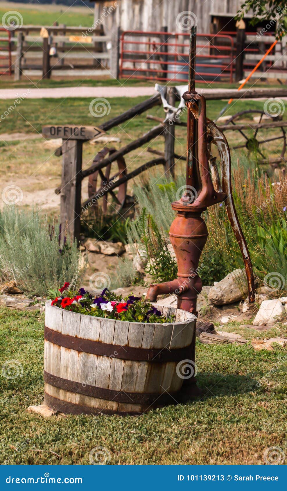 Old hand well pump stock image. Image of flowers, iron - 101139213