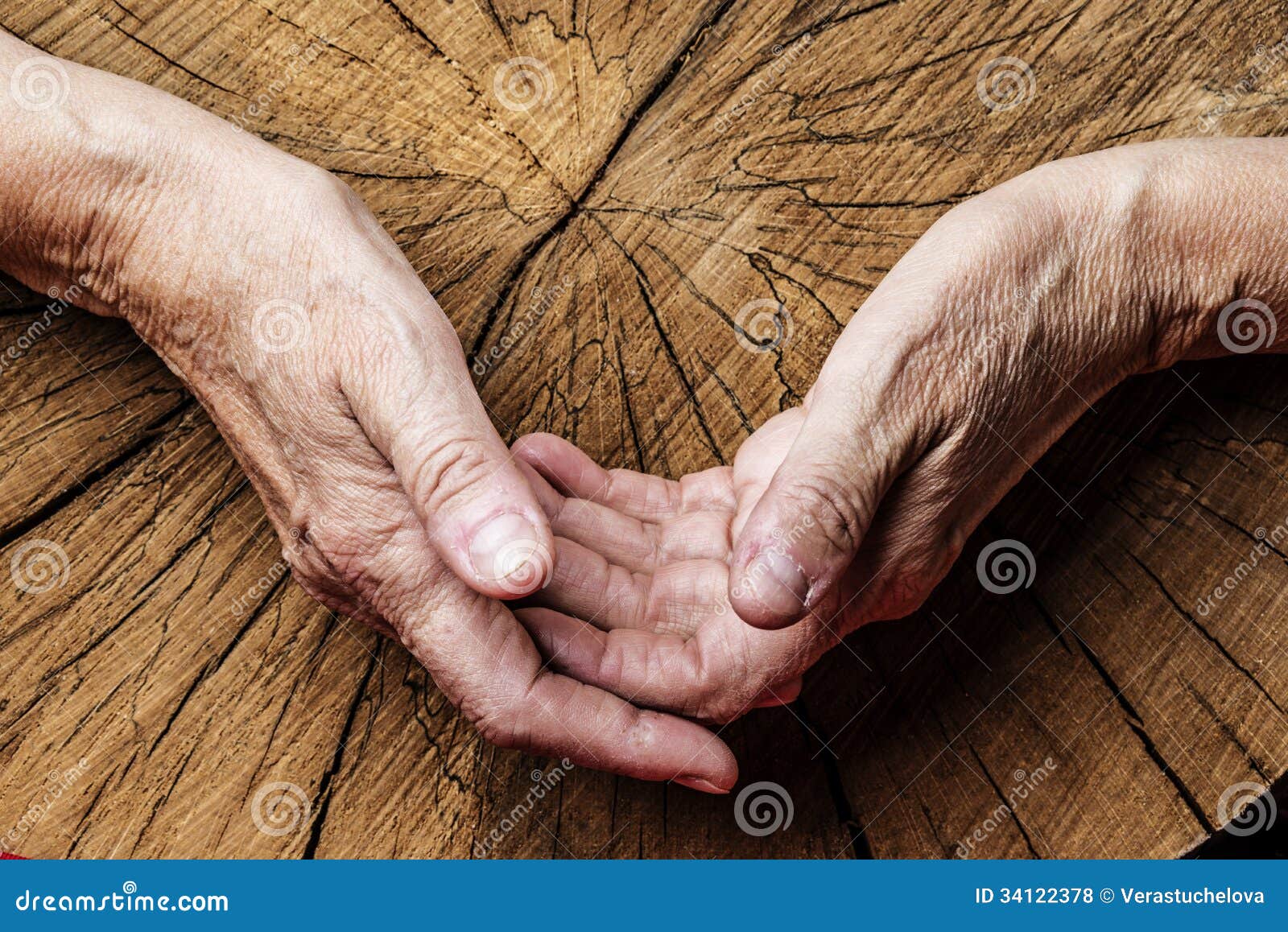 Old hands and old tree stock photo. Image of european - 34122378