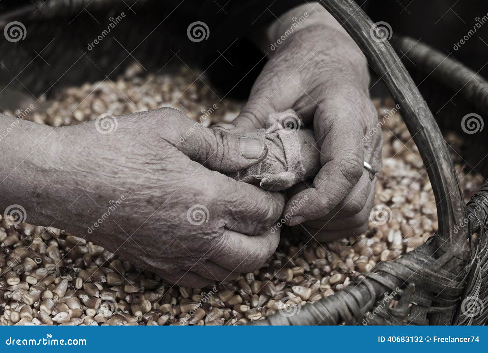 Old hands working stock photo. Image of people, person - 40683132
