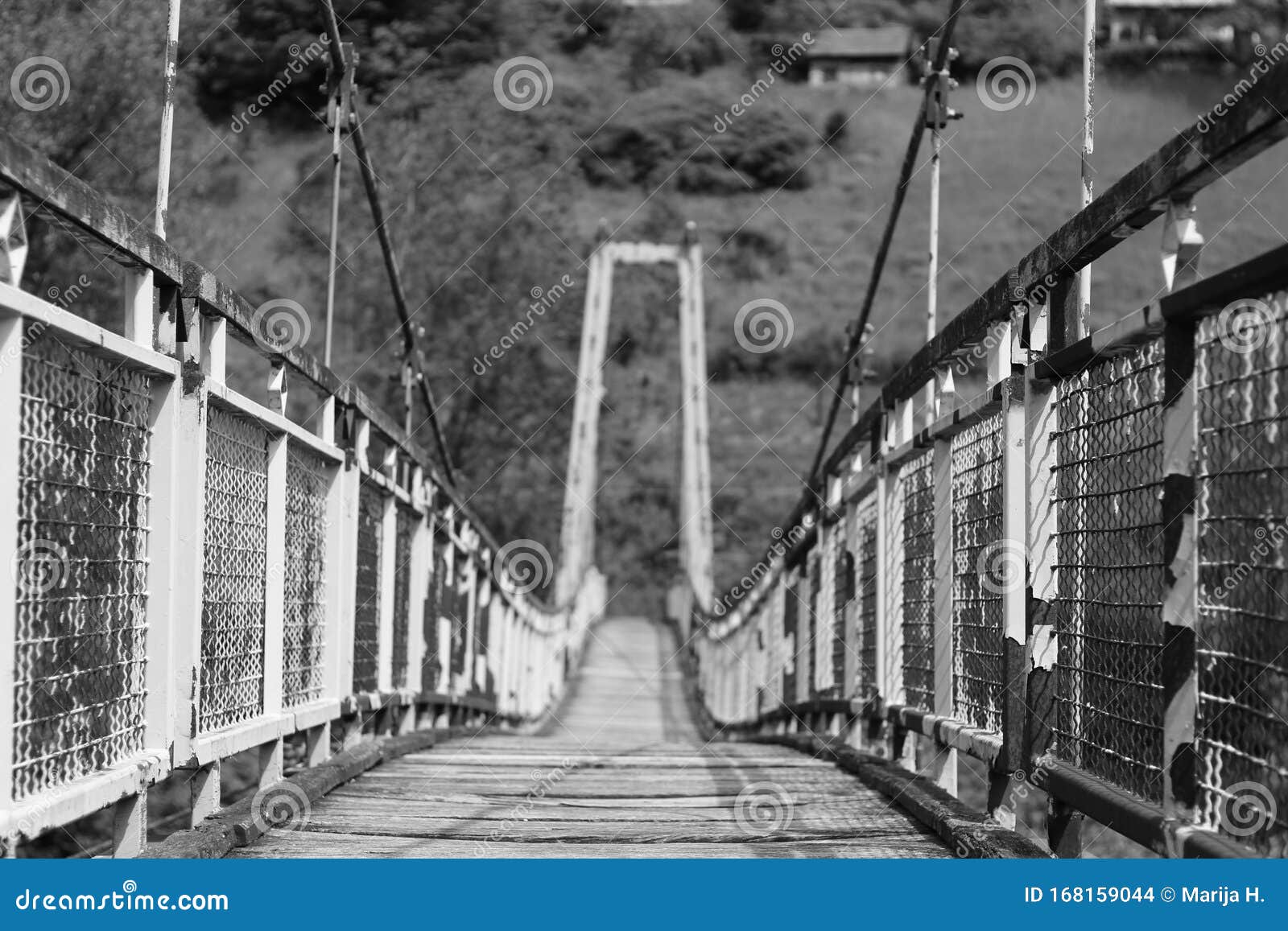 Old hanging bridge stock photo. Image of hanging, forest - 168159044