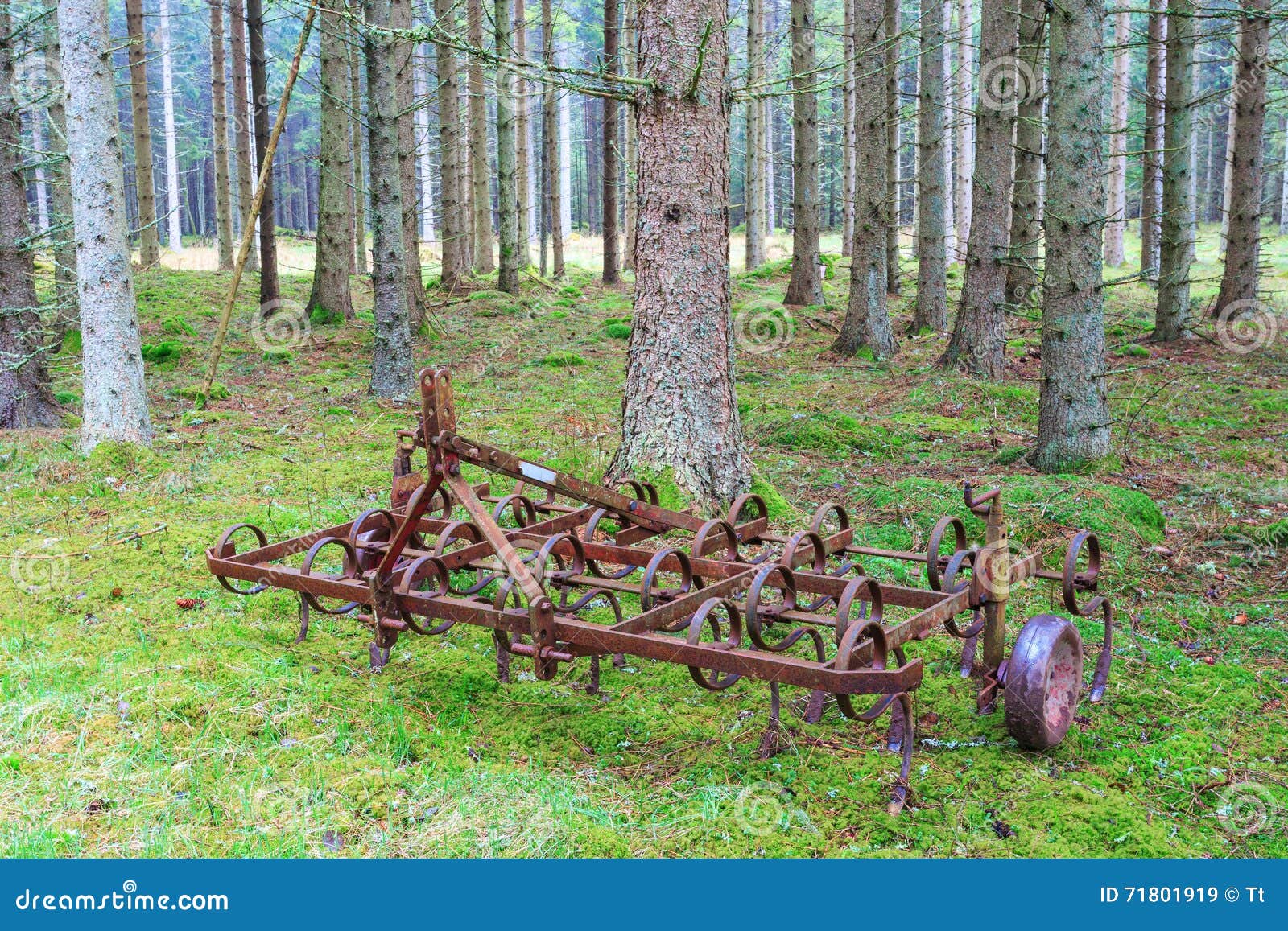 Old harrow in woods stock image. Image of outdoors, steel - 71801919