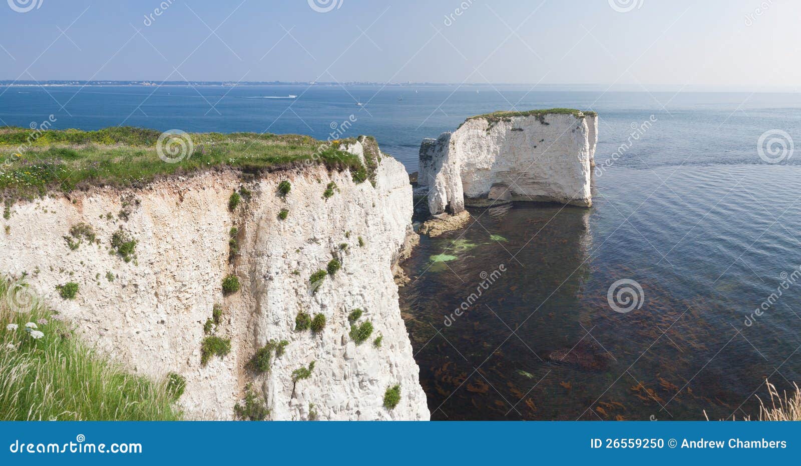 Old Harry Rocks And Wildflowers Stock Photography | CartoonDealer.com ...