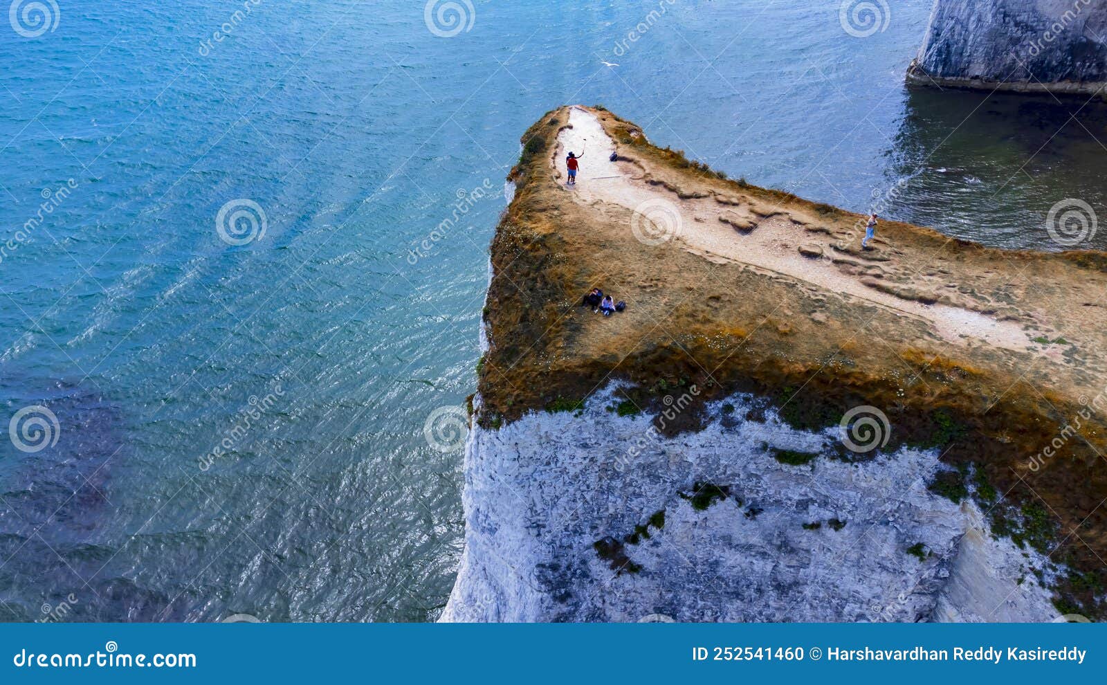 Old Harry Rocks stock photo. Image of earth, high, bright - 252541460