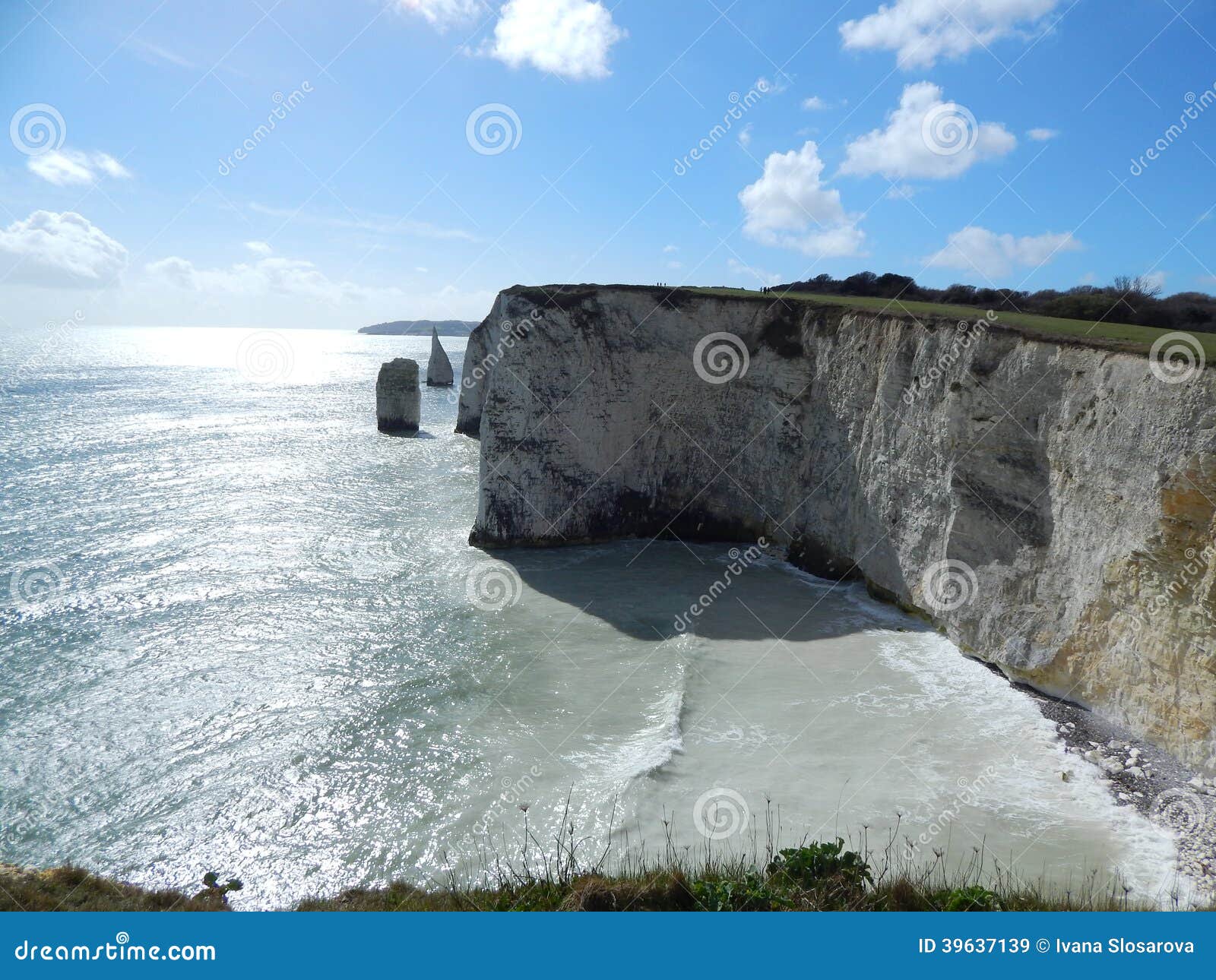Old Harry Rocks, UK stock image. Image of path, nature - 39637139