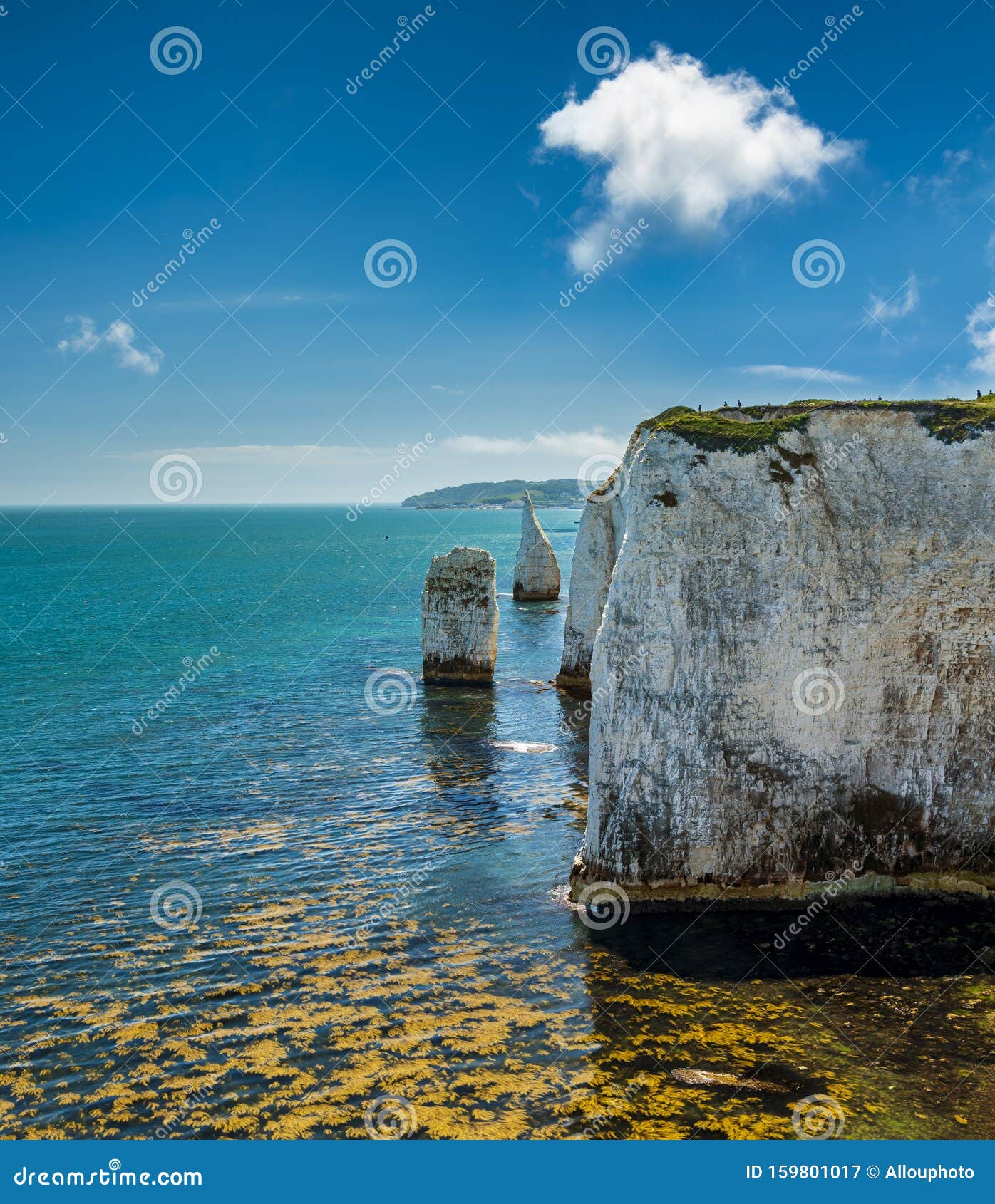 Old Harry Rocks and White Cliffs in Dorset Editorial Photography ...