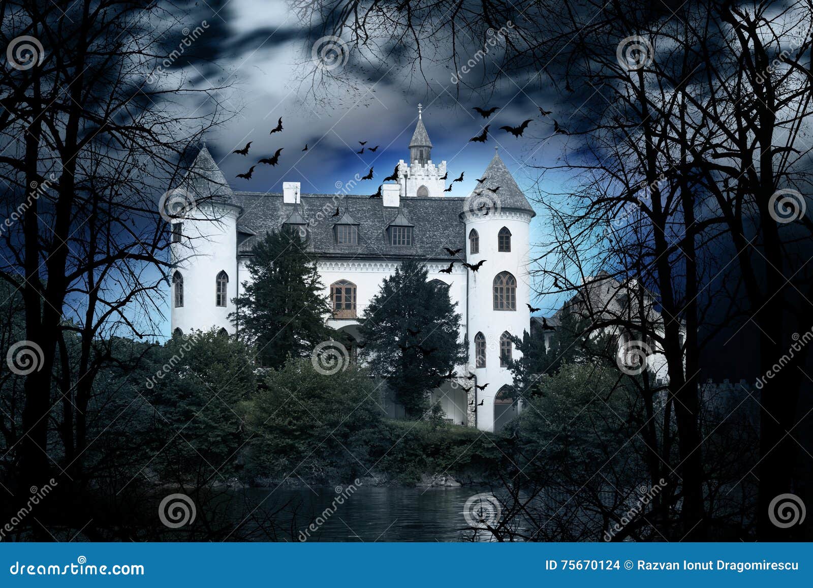 Old Haunted Castle stock photo. Image of halloween, night - 75670124