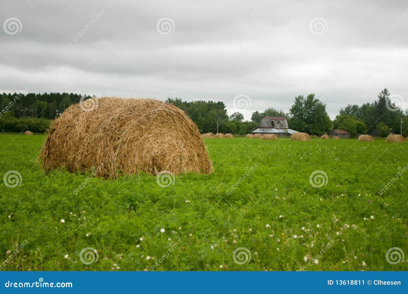 Old hay bale stock image. Image of natural, roll, minnesota - 13618811