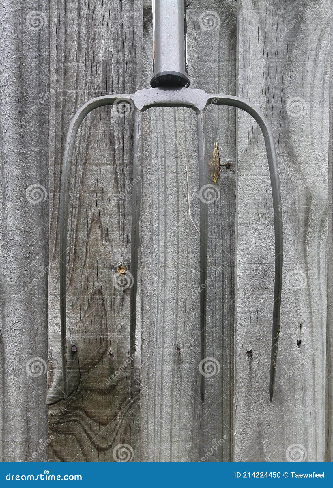 The Old Hayfork On Wood Background, Fork Of Farmers Hoeing Weeds ...