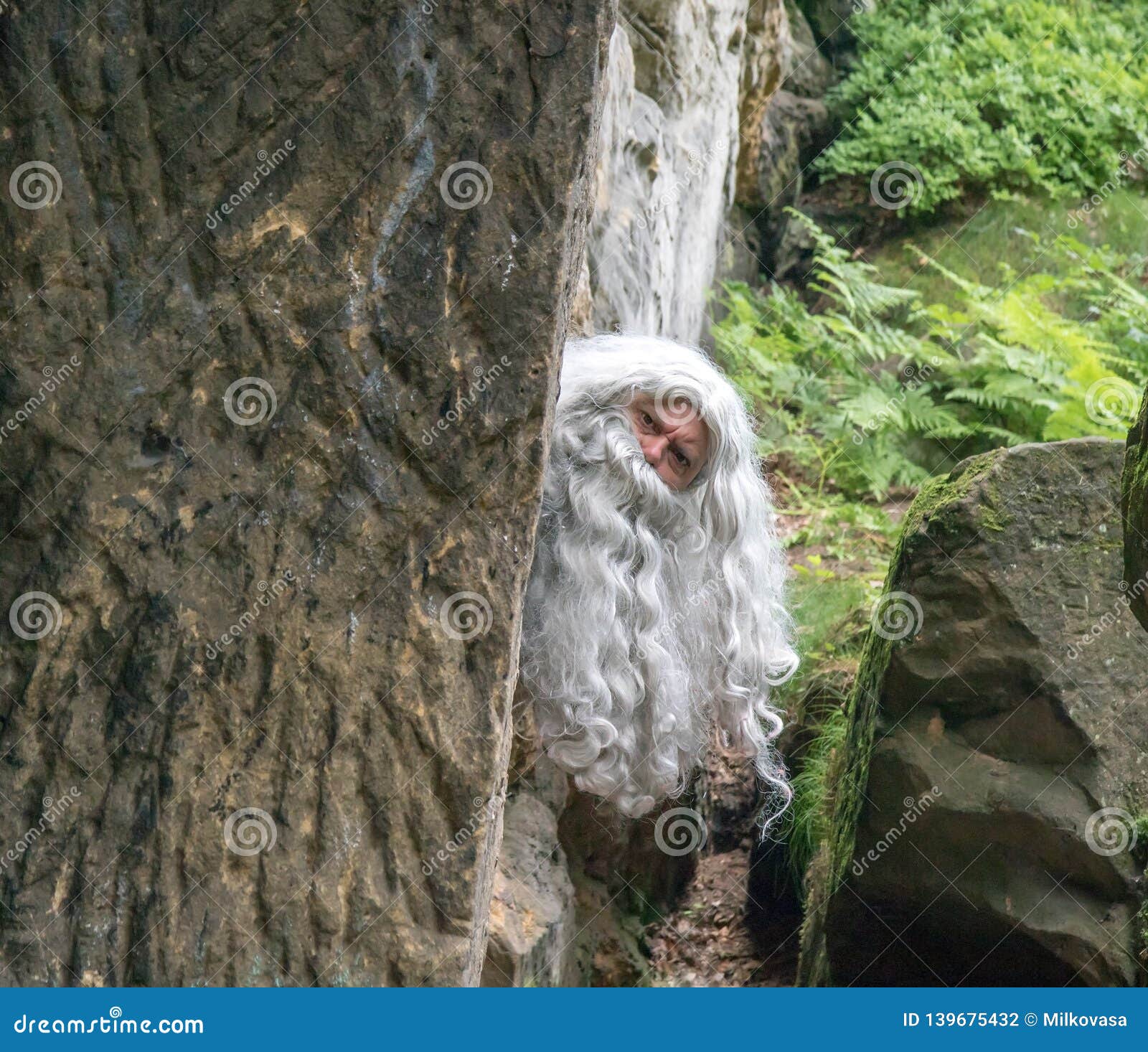Old Hermit Peeks Behind Rock. Stock Photo - Image of angry, natural ...