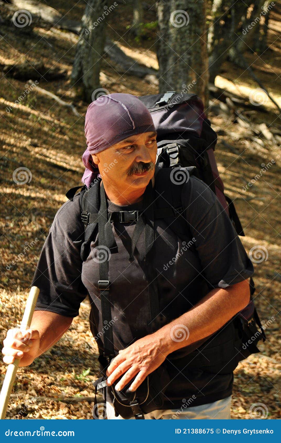 Old hiker in forest stock image. Image of landscape, beautiful - 21388675