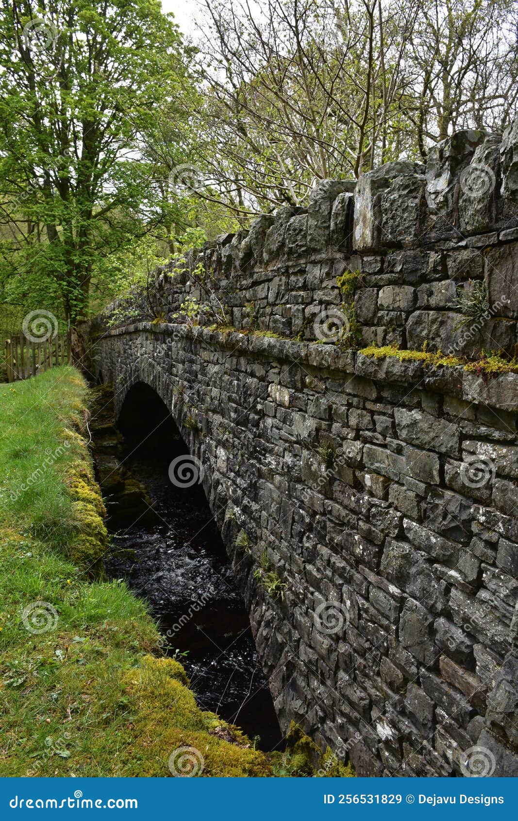 Old Historic Stone Bridge with an Arch Stock Image - Image of woodlands ...