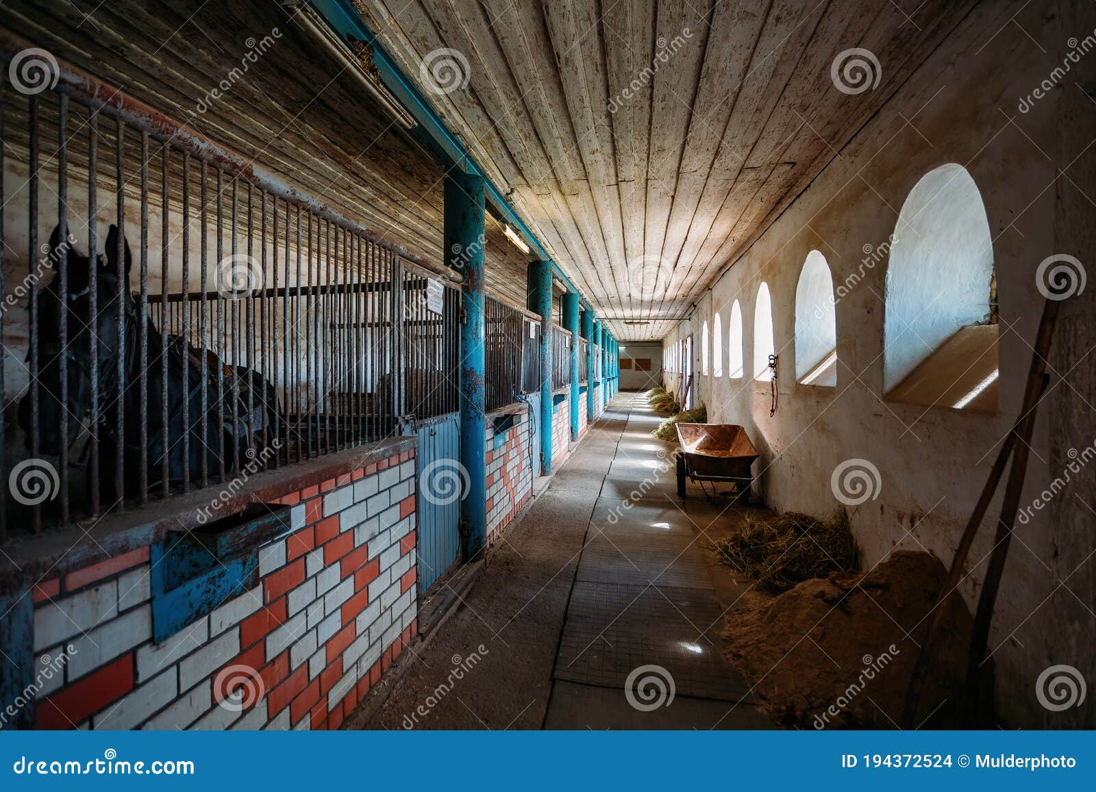 Old Historical Horse Stable with Loose Horse Boxes, Tunnel View Stock ...