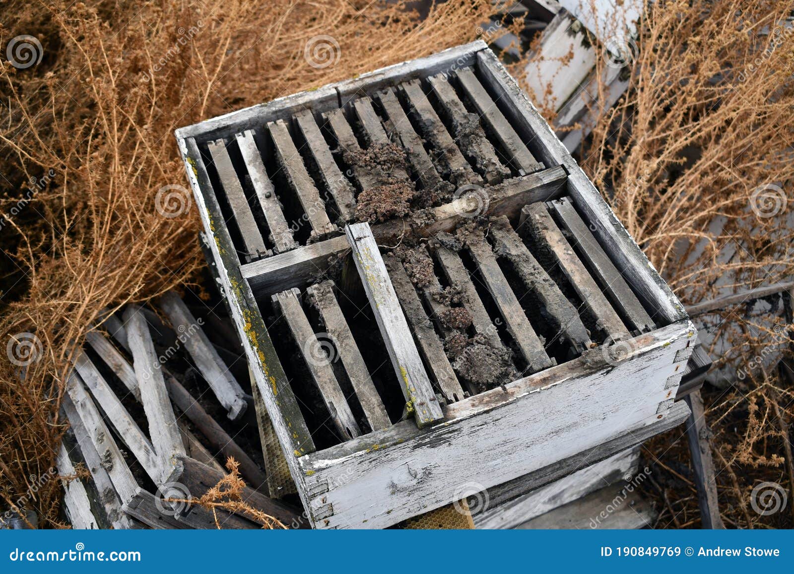 Old hive broken down stock image. Image of wild, sunny - 190849769
