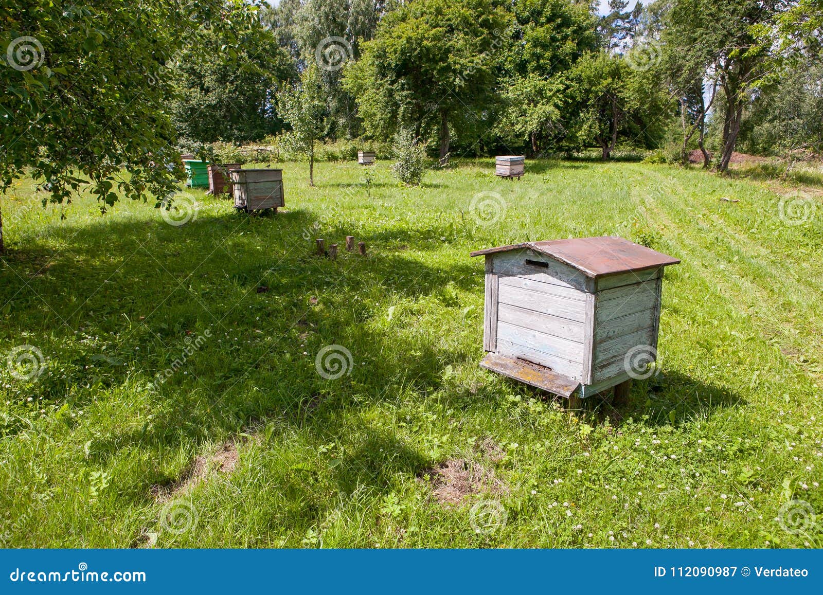 Old hives in garden stock image. Image of apple, wooden - 112090987