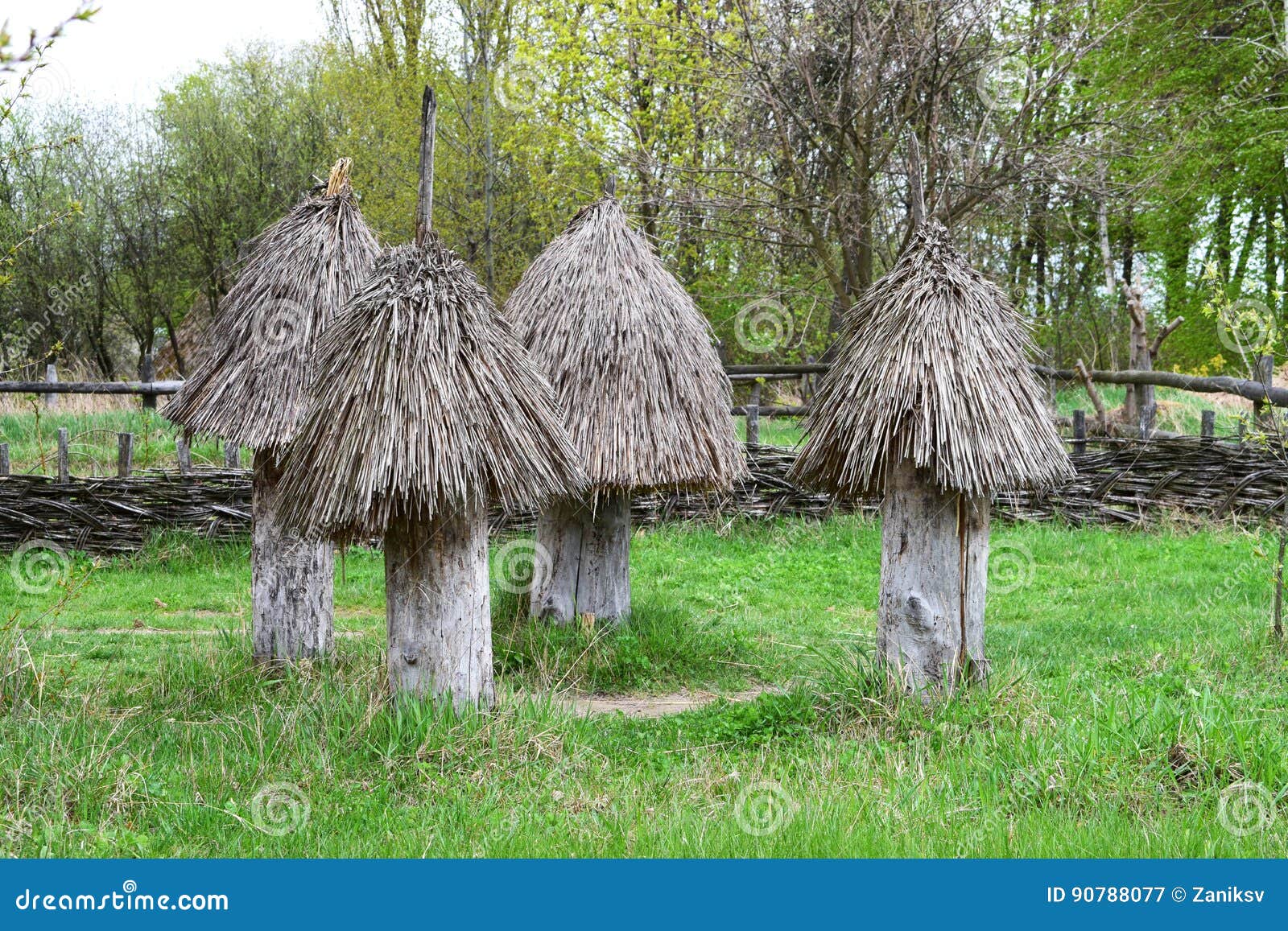 Old hives stock image. Image of tree, hives, spring, wooden - 90788077
