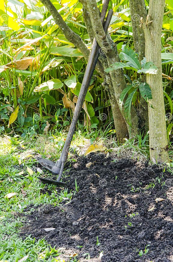 Old hoe stock photo. Image of gardening, formal, garden - 28926306