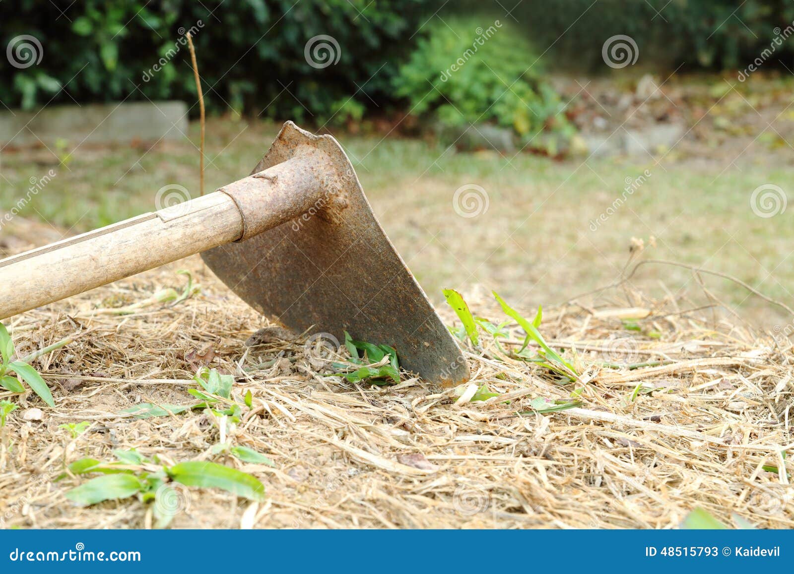 Old hoe stock image. Image of aged, farm, steel, stick - 48515793