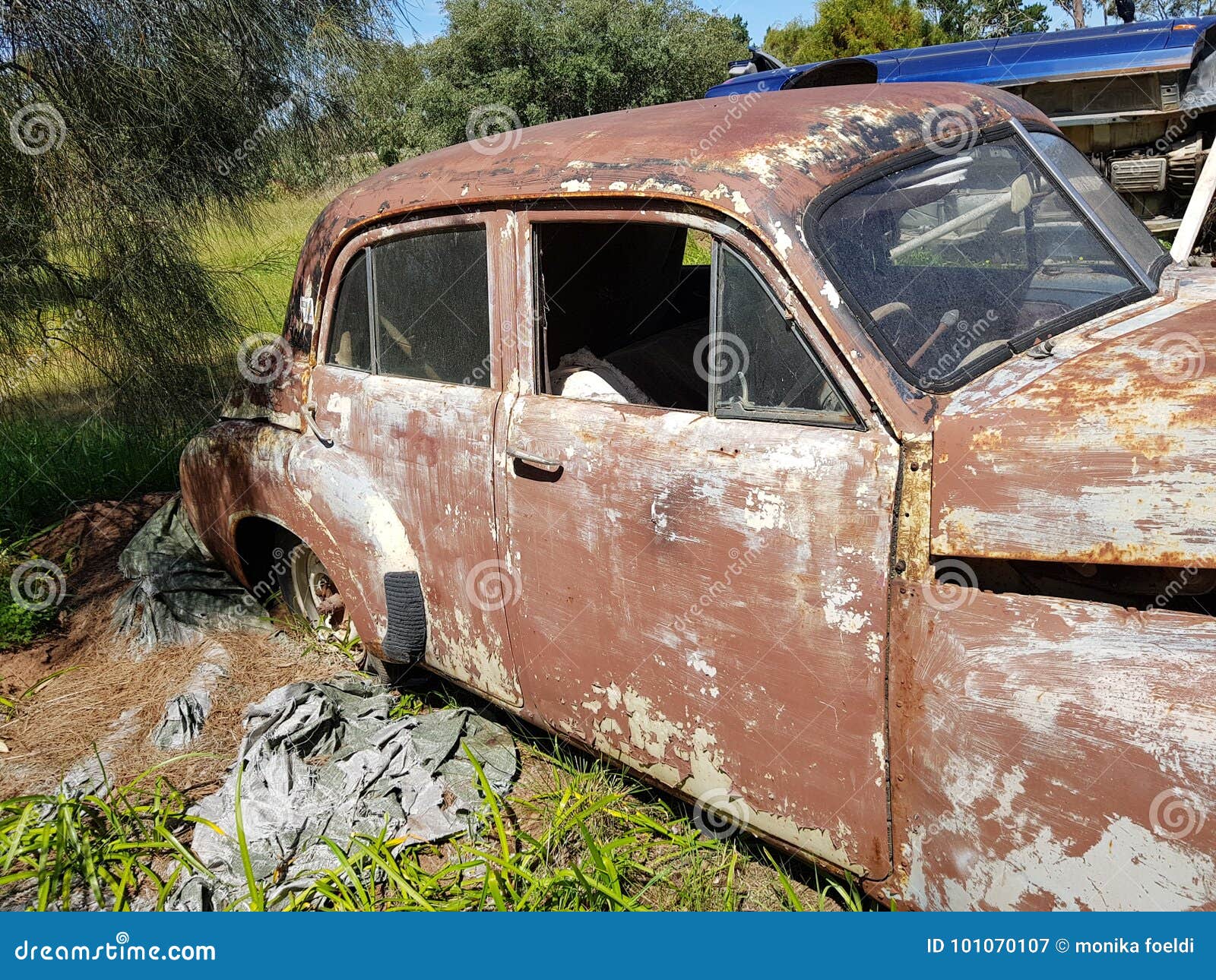 Old Holden Rusty Antique Beautiful Stock Image - Image of tree, classic ...