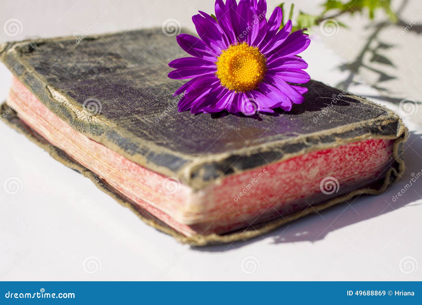 Old Holy Bible stock image. Image of ancient, christmas - 49688869