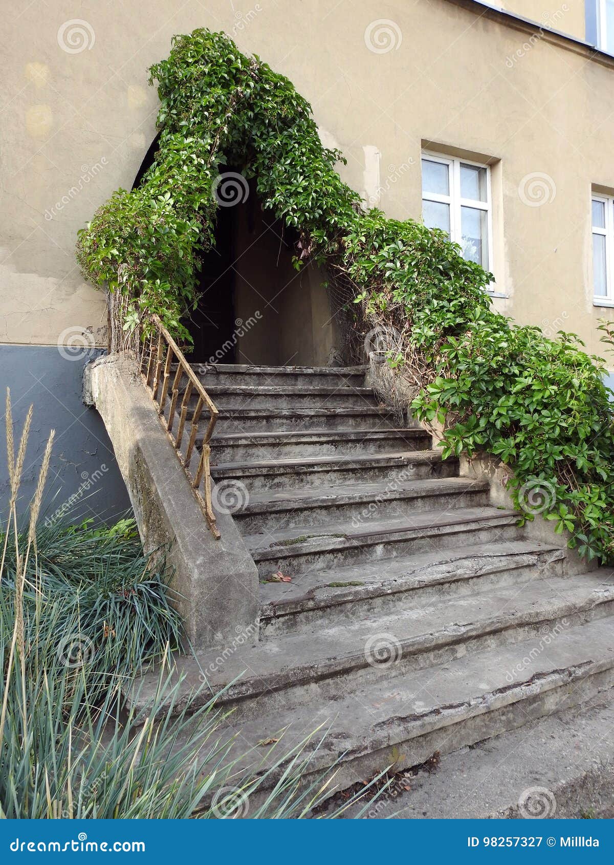 Old Home Stairs and Creeper Stock Image - Image of home, view: 98257327