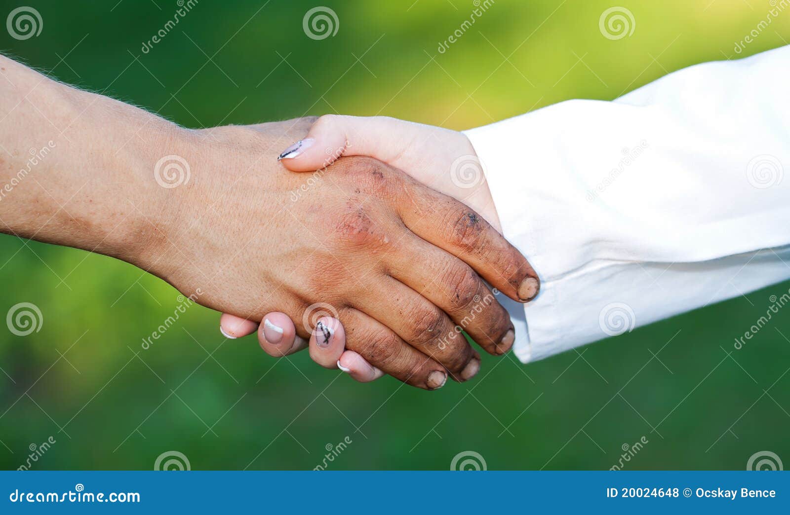 Helping The Homeless Hands