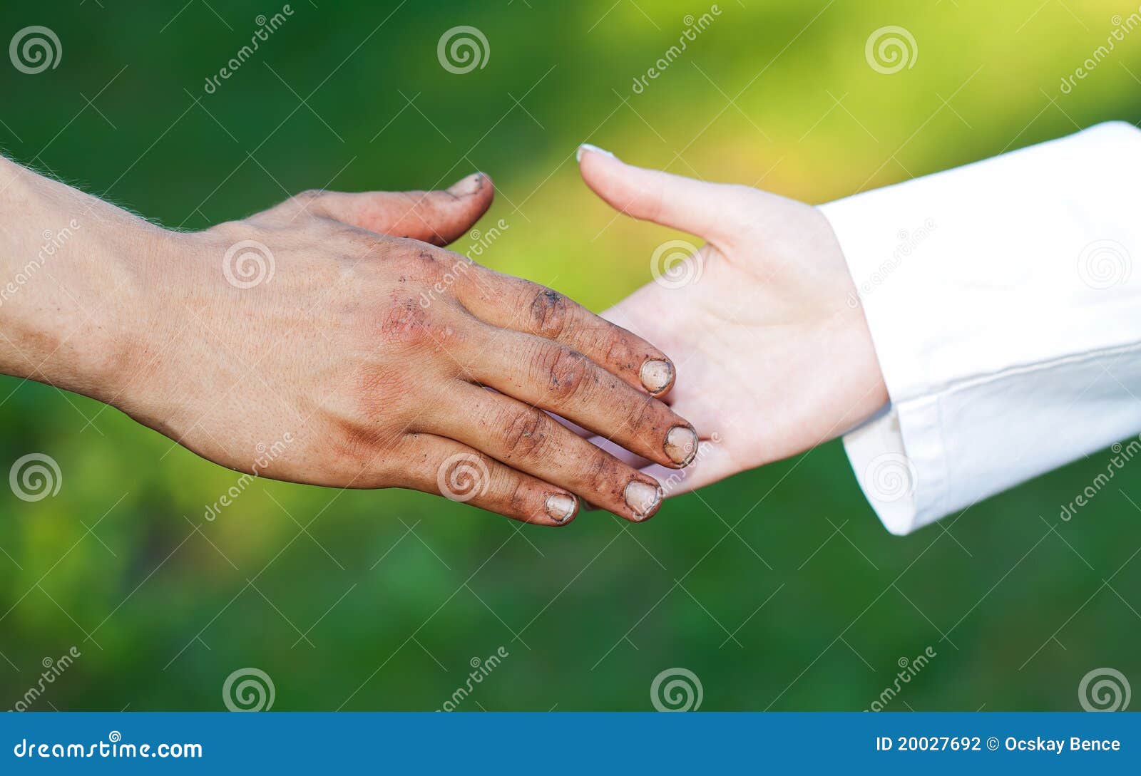 Helping The Homeless Hands