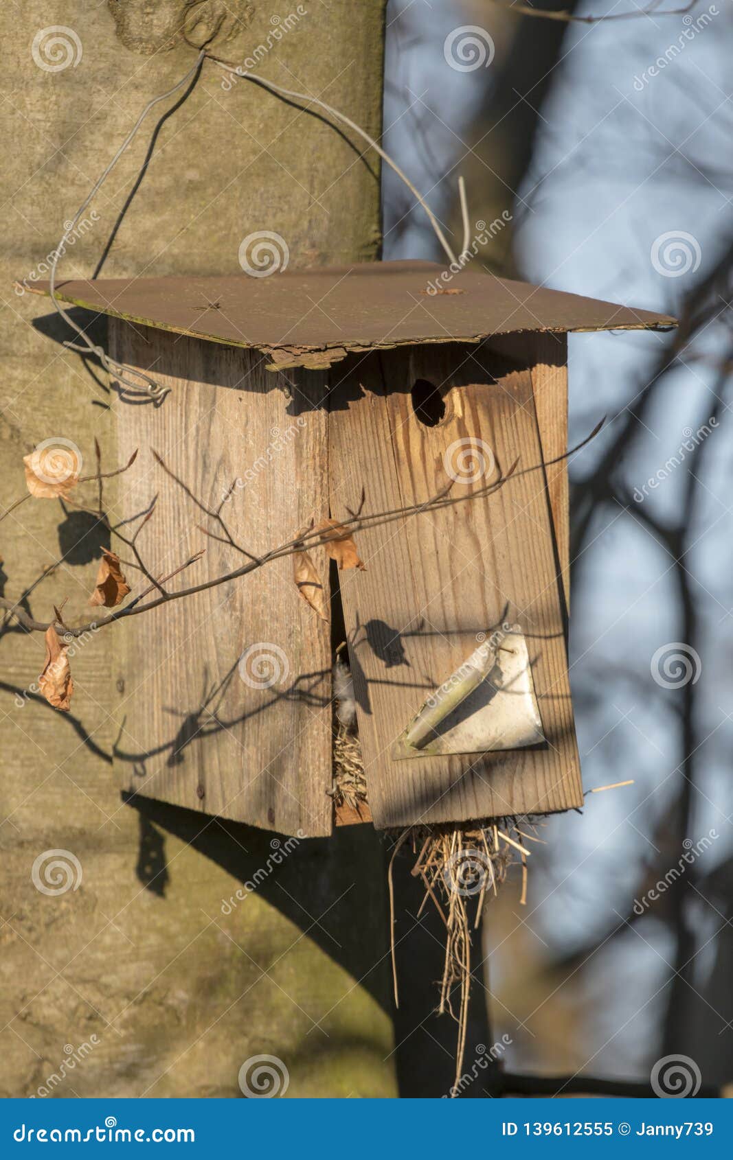 Old Homemade Bird Nesting Box Hangs Broken on a Tree Stock Image ...