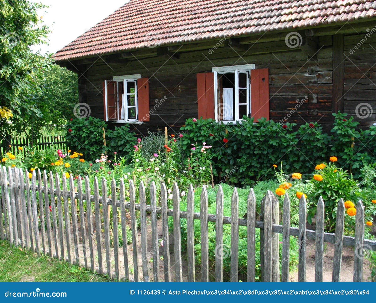 Old homestead stock image. Image of homestead, lithuanian - 1126439