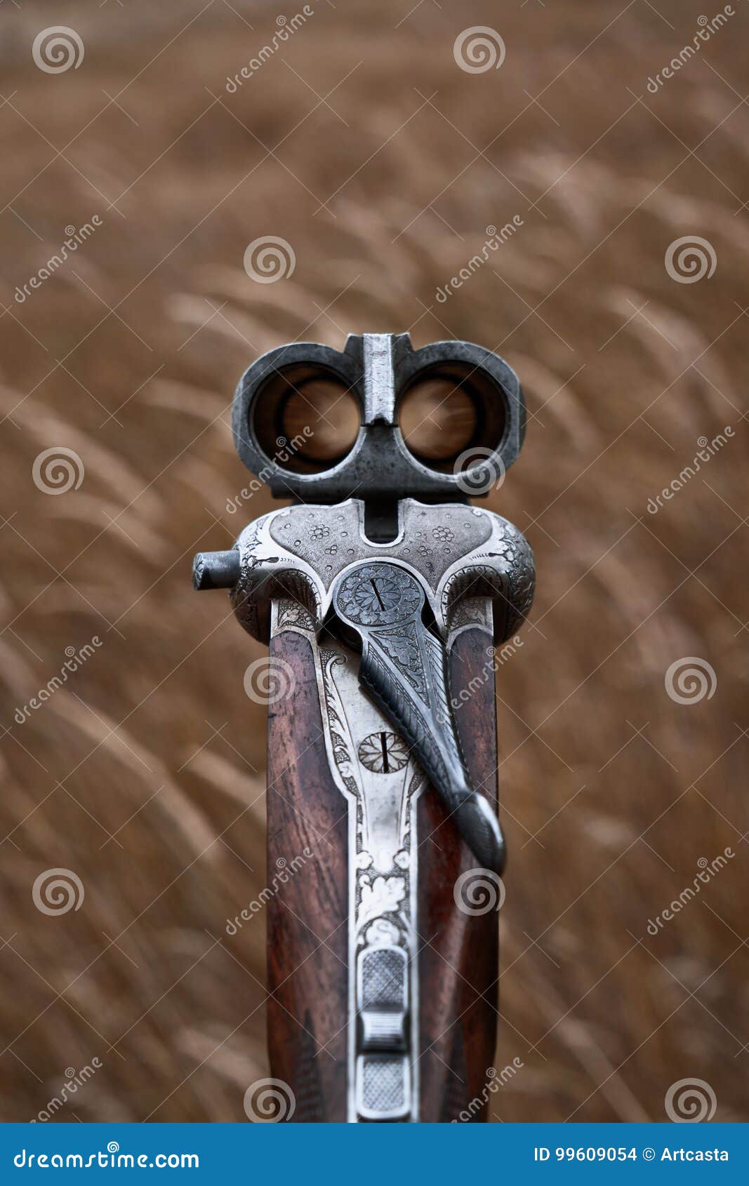 An Old Horizontal Double-barrel Stock Photo - Image of autumn, ornate ...