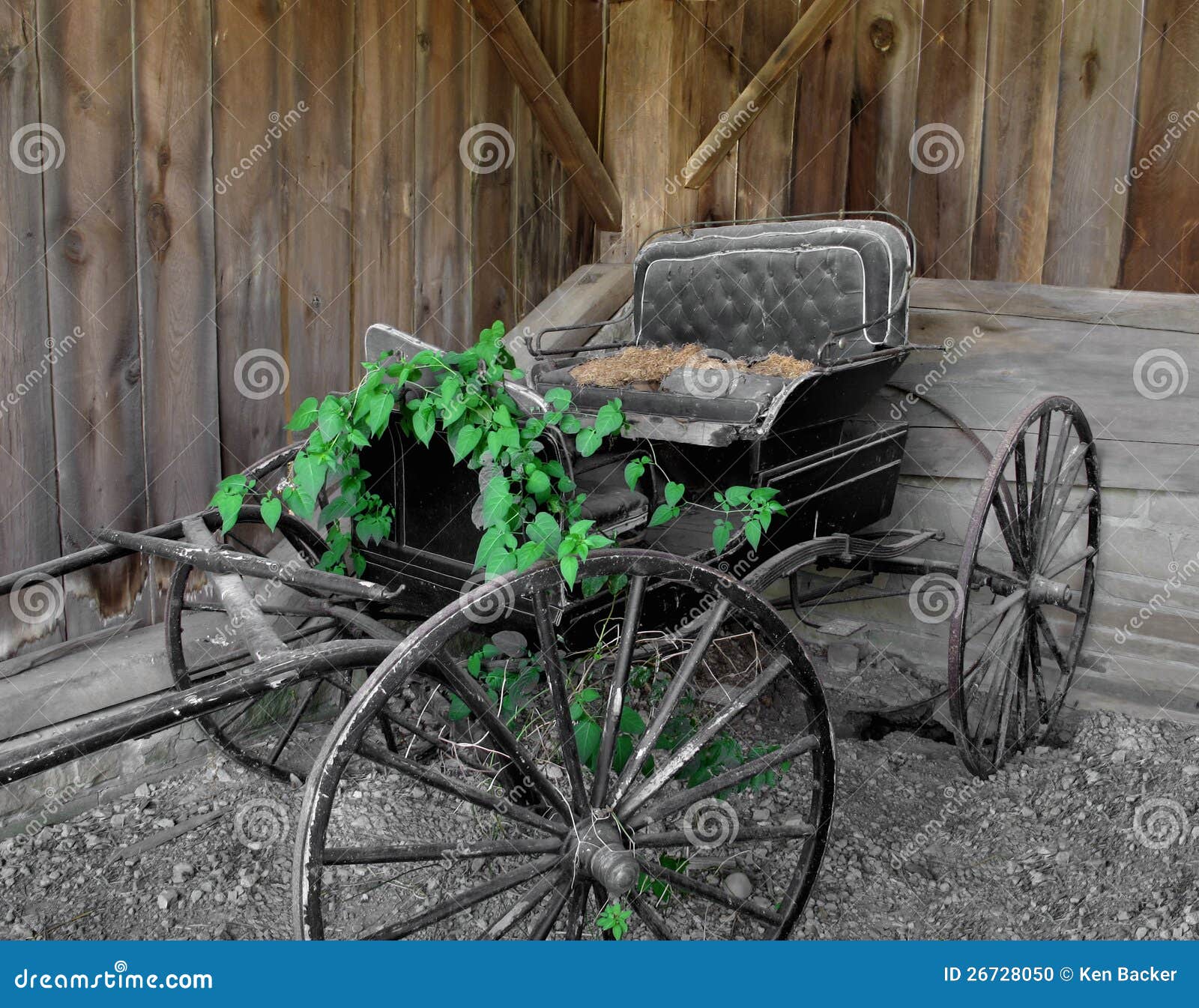 Old horse drawn buggy. stock photo. Image of person, drawn - 26728050