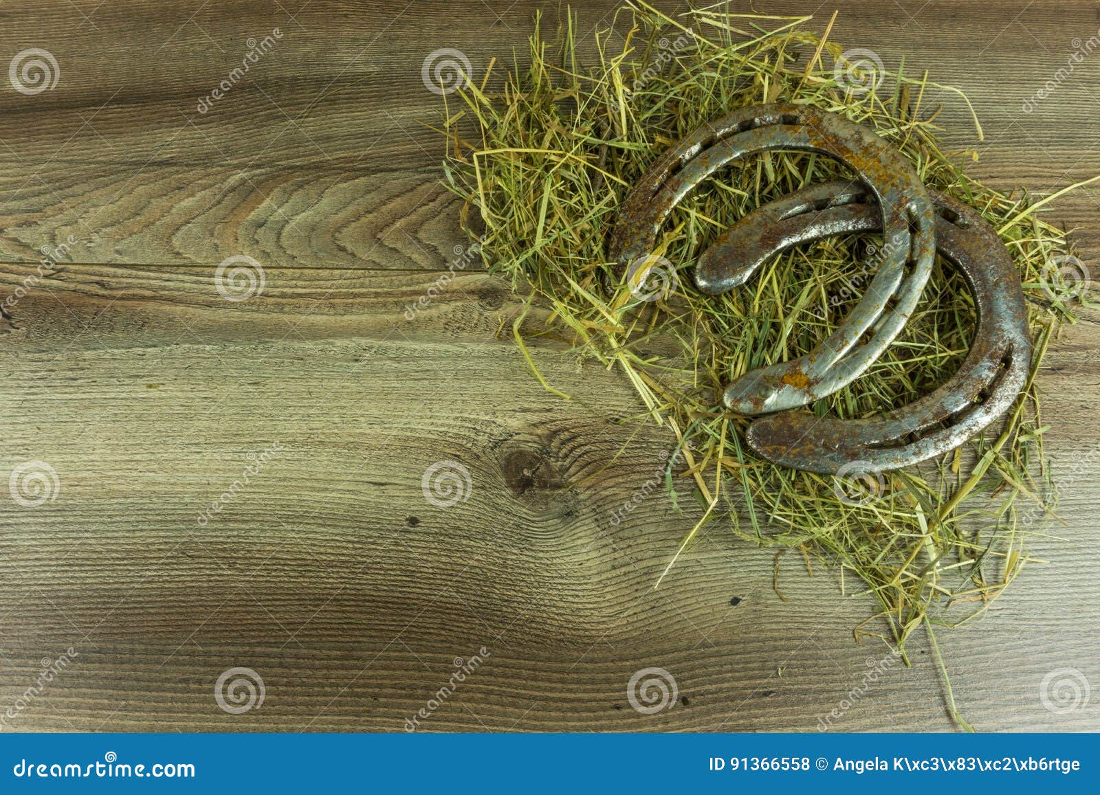 Old Horseshoe with Hay on a Rustic Wooden Stock Photo - Image of steel ...