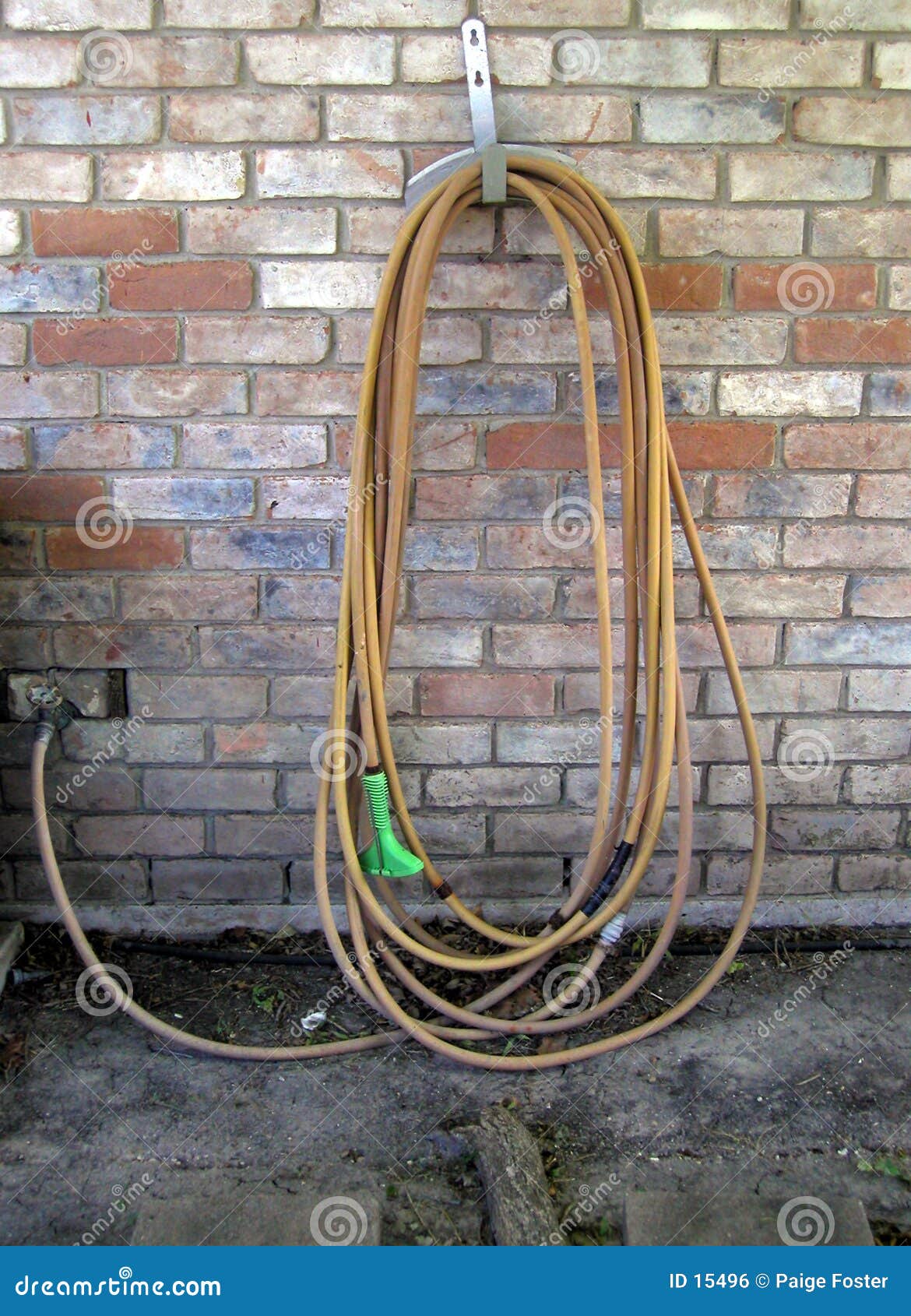 Old Hose stock photo. Image of domestic, water, yellow, gardening - 15496