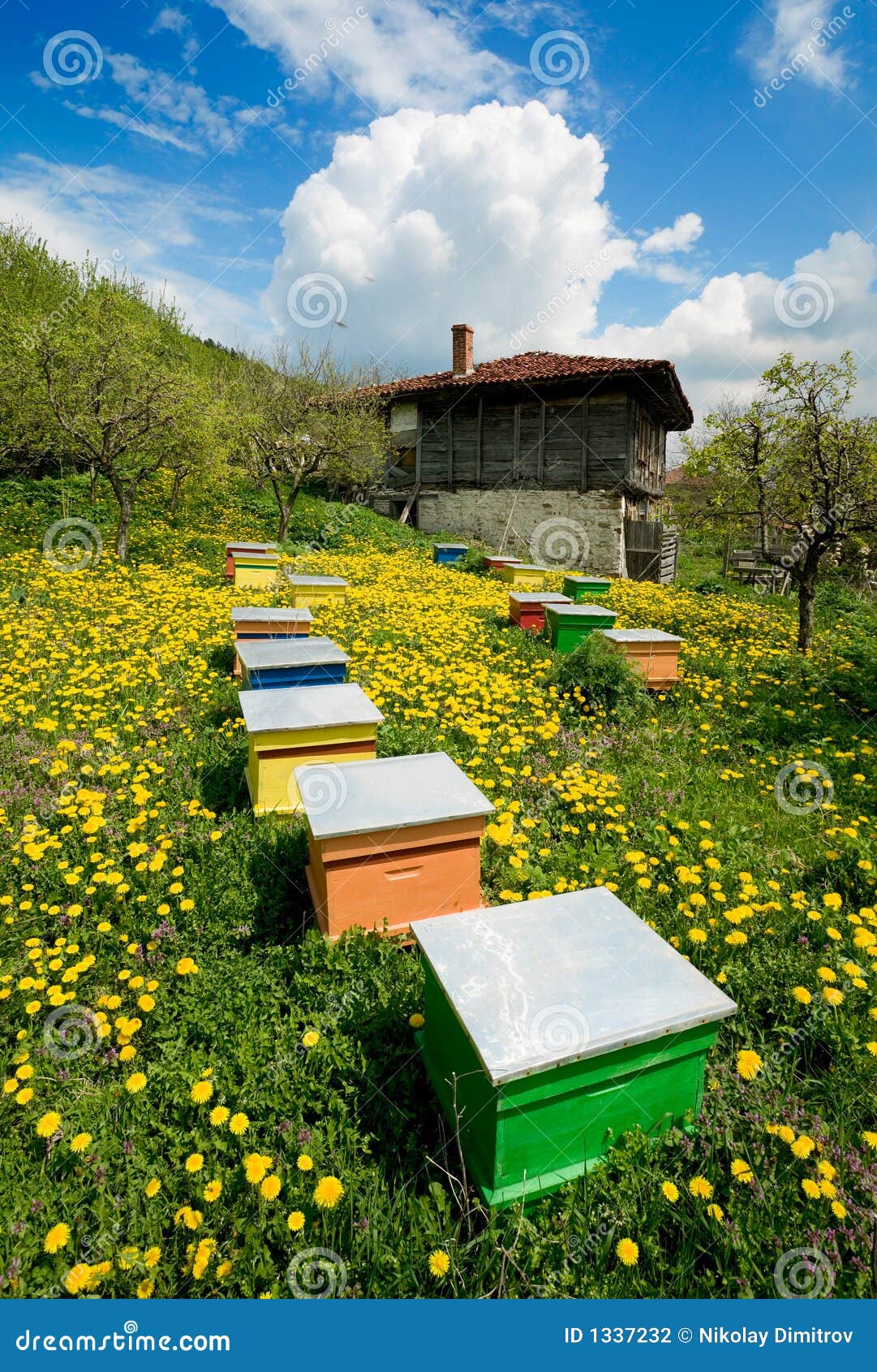 Apiary Royalty-Free Stock Photo | CartoonDealer.com #74019123