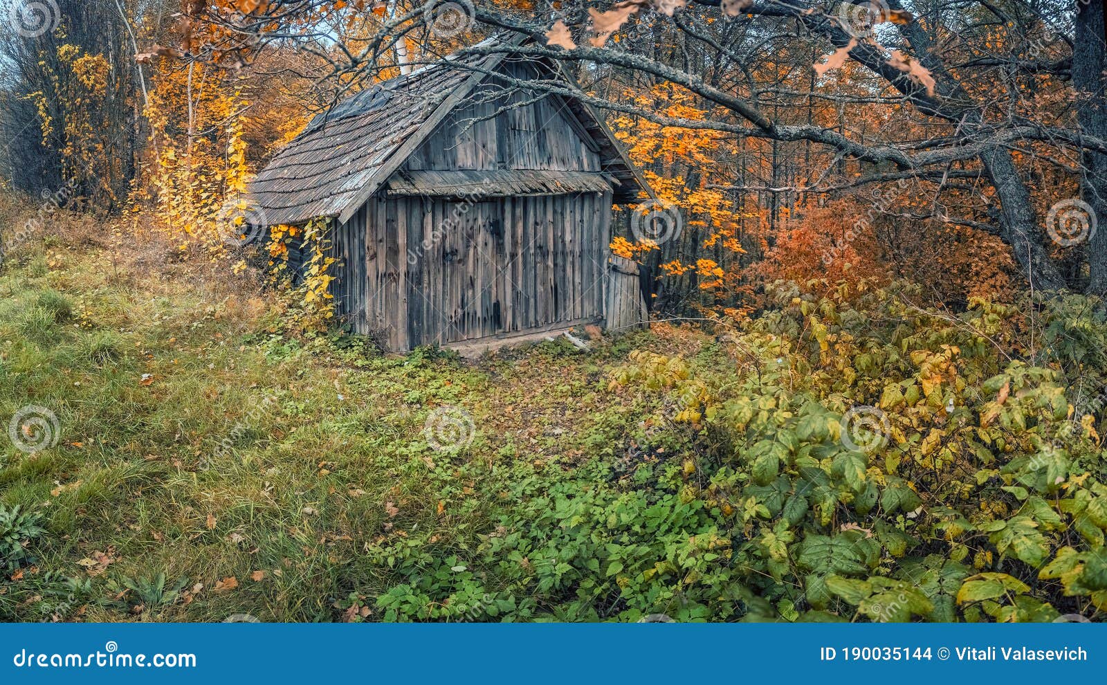 Old house in autumn grove stock photo. Image of village - 190035144