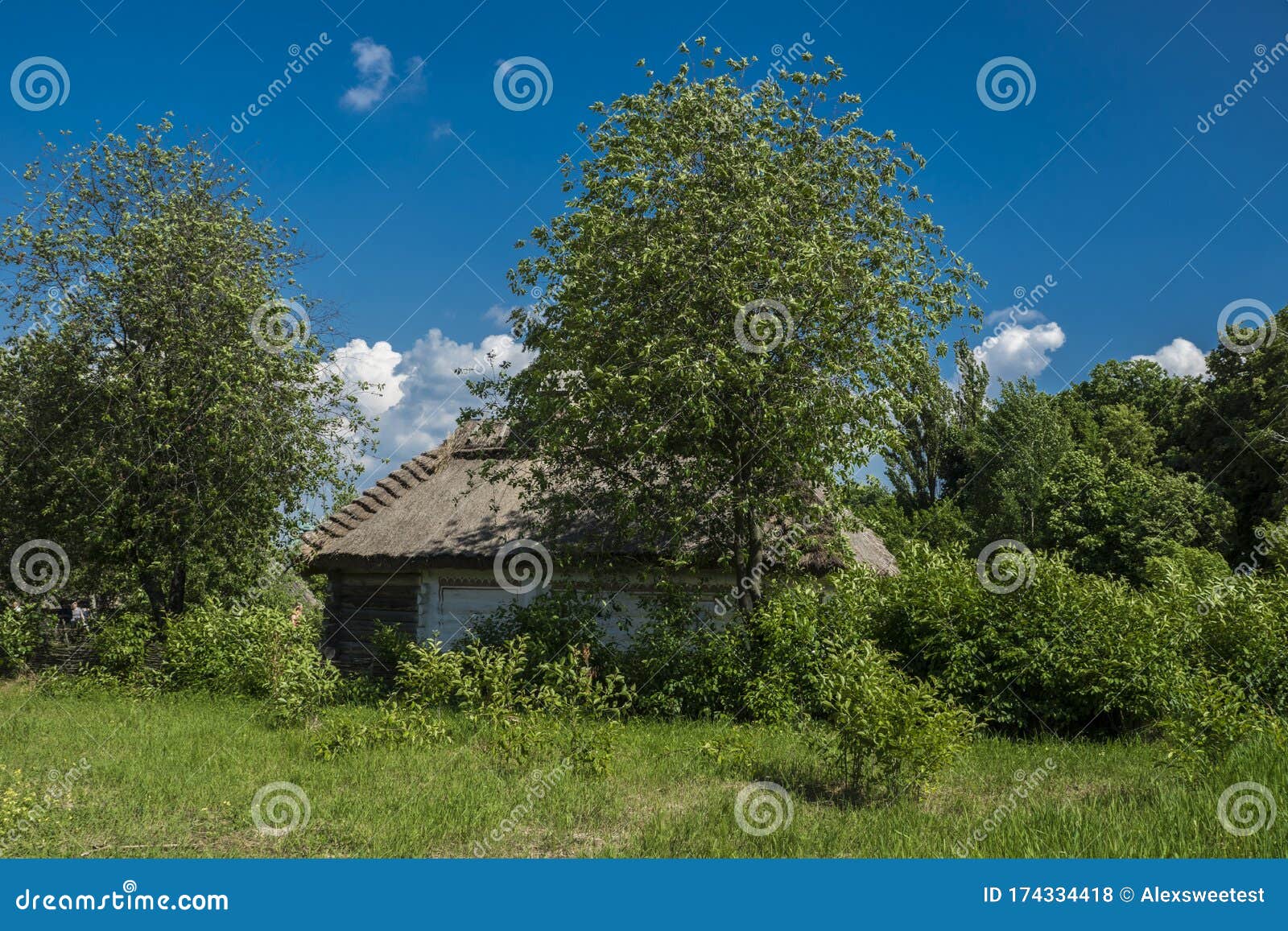 An old house behind a tree stock photo. Image of fence - 174334418