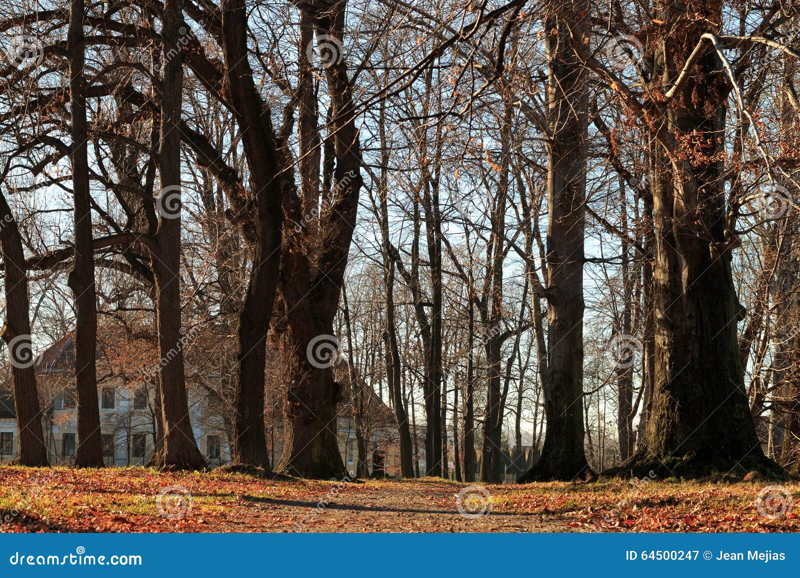Old House Behind the the Trees Stock Image - Image of ground ...