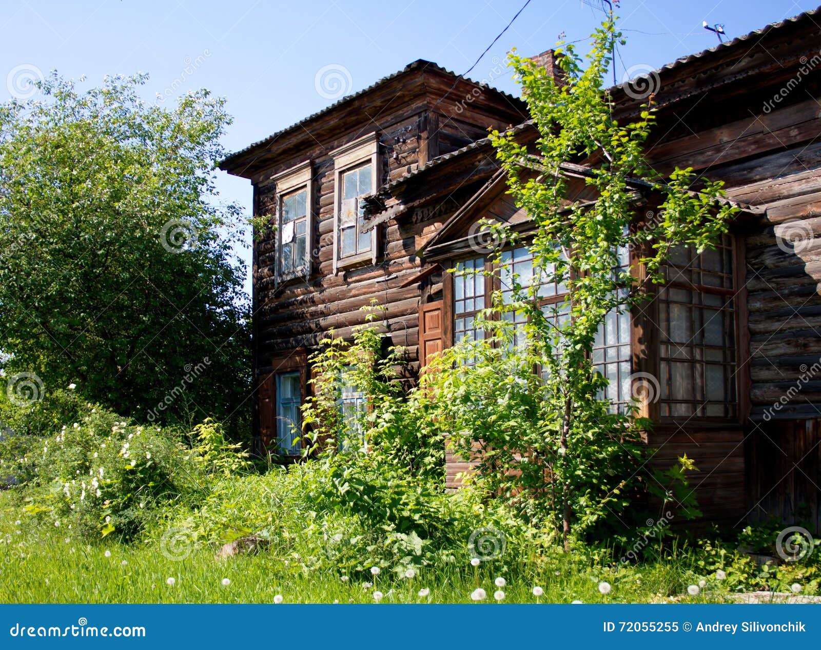 The Old House Behind the Trees Stock Image - Image of urban, tree: 72055255