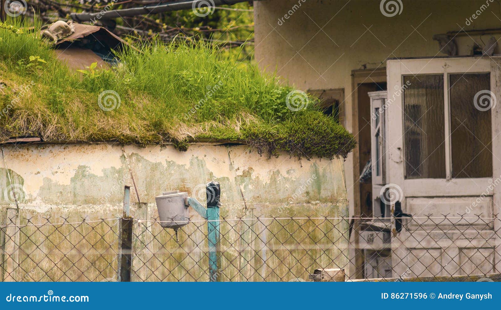 Old House Below Ground Level Stock Photo - Image of green, forest: 86271596