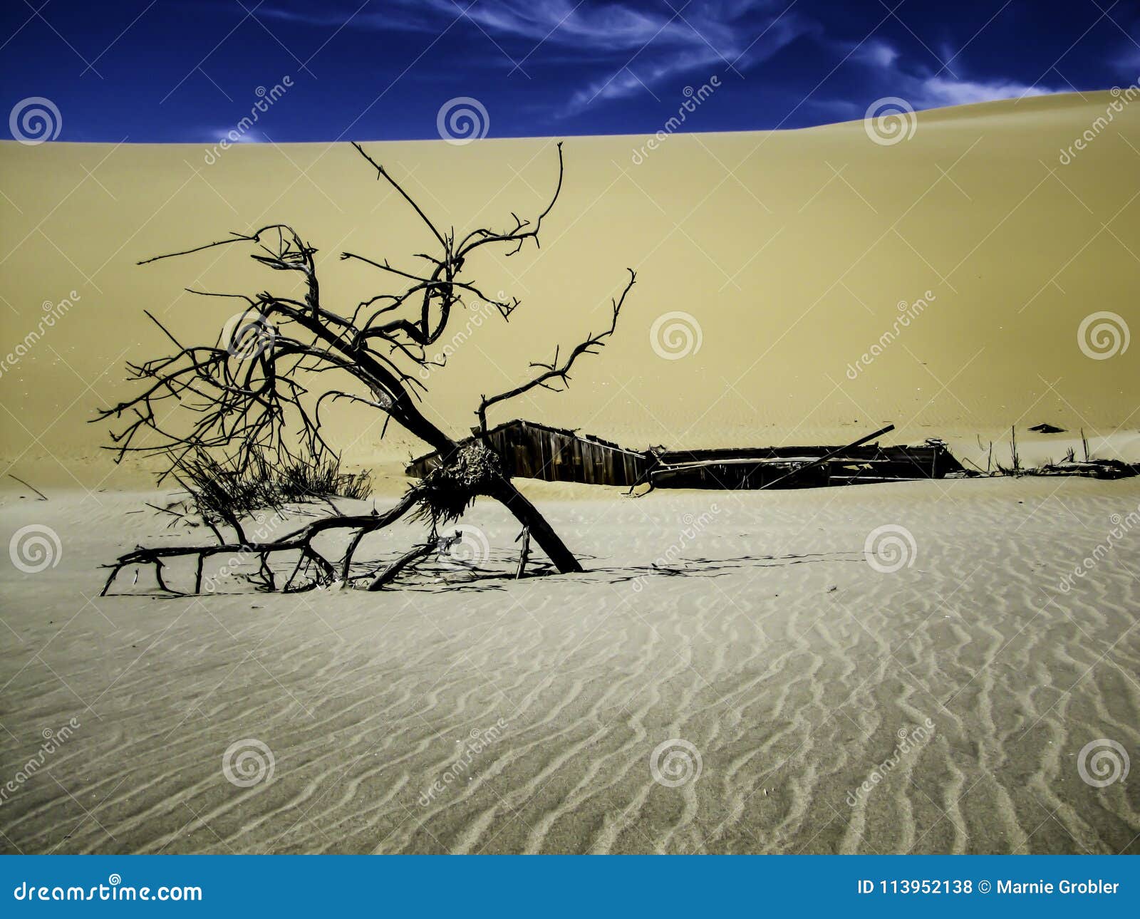Under the Sand ~ Namibian Desert Stock Photo - Image of underneath ...